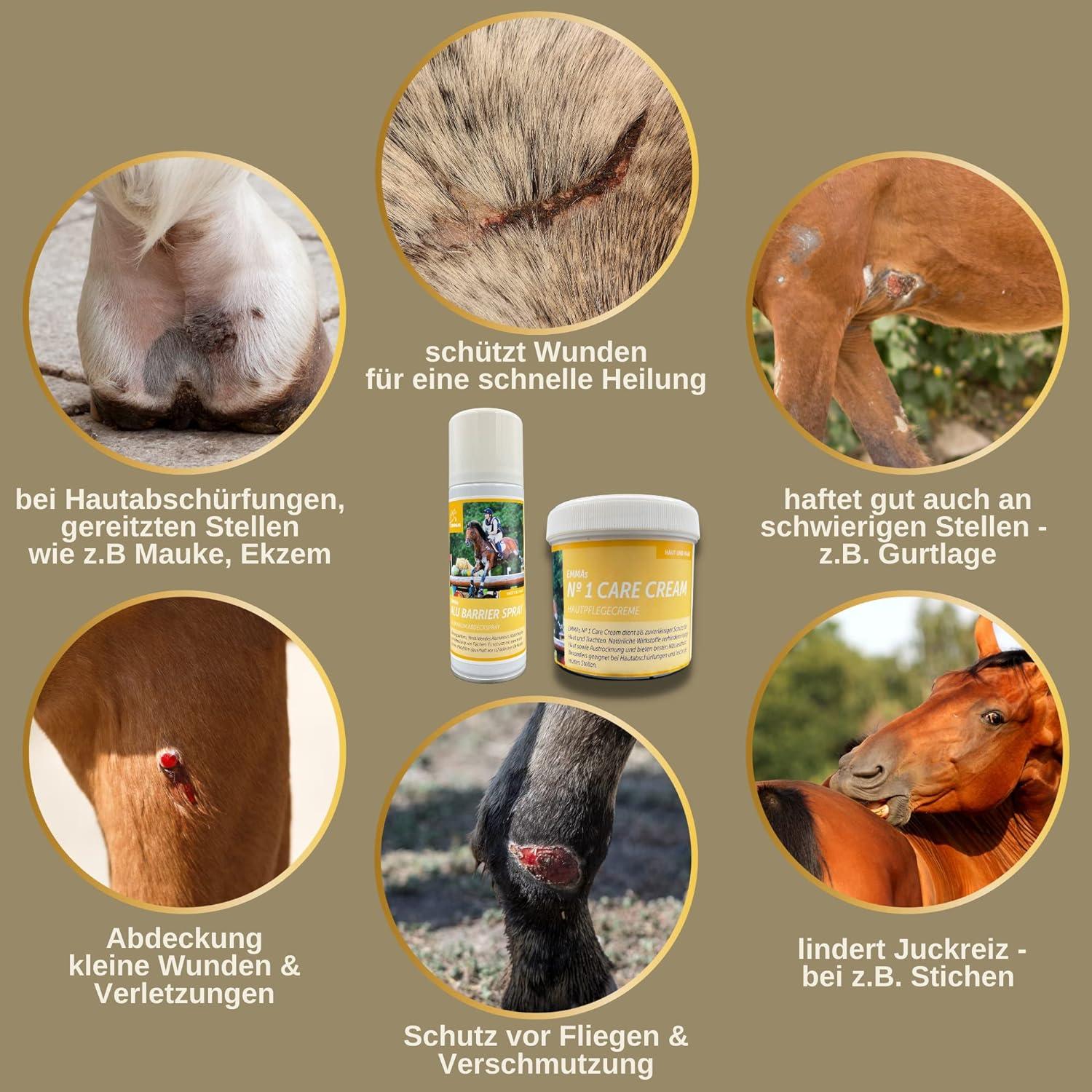 First Aid Set for Animals | Silver Spray & Zinc Ointment for Horses ...