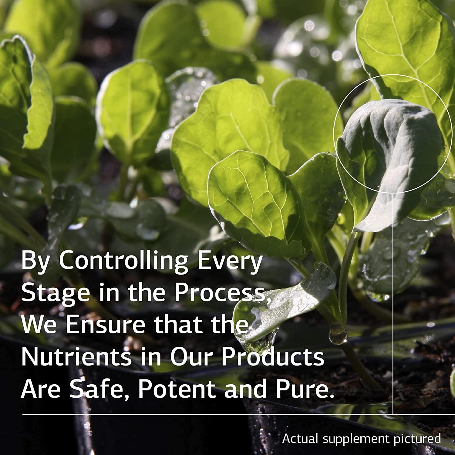 Standard Process Biost - Teeth and Bone Health Supplement - 360 Tablets ...