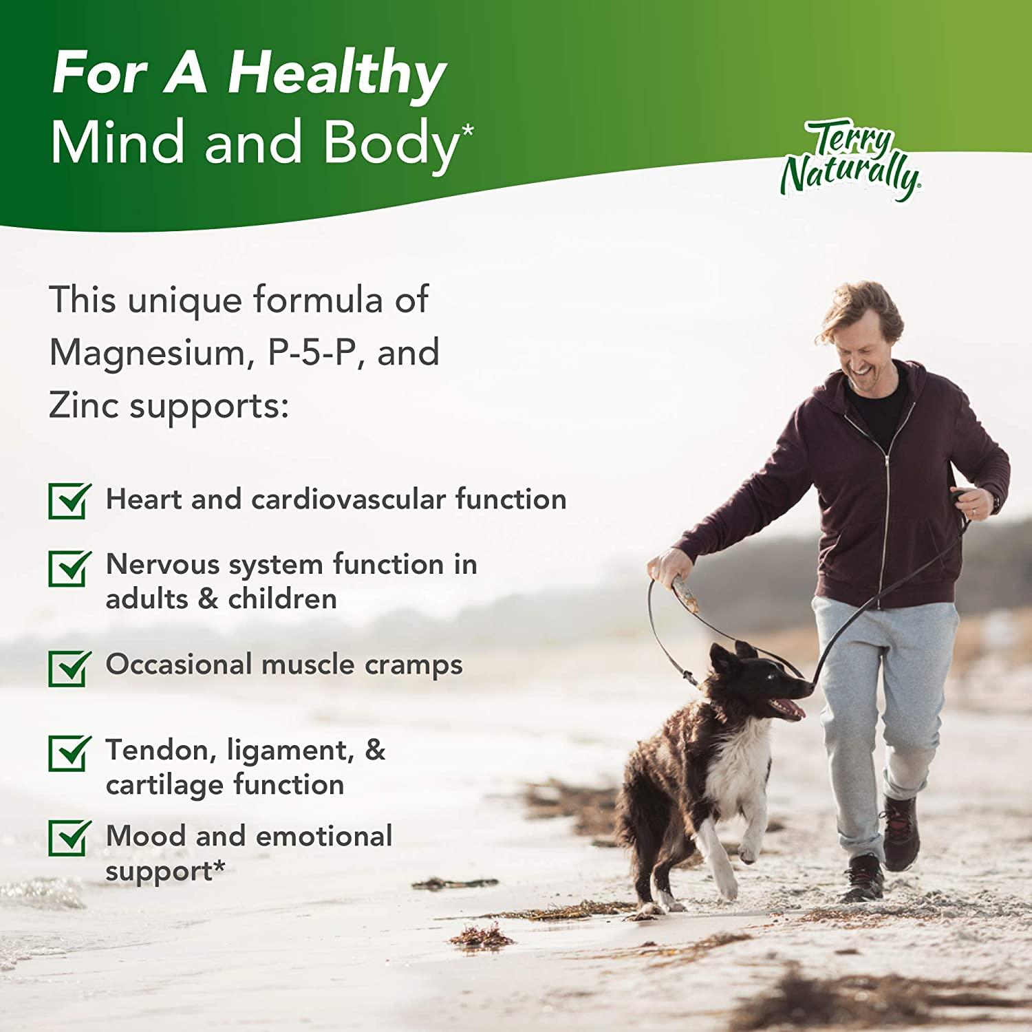 Terry Naturally BioActive Magnesium Complex (2 Pack) - 60 Vegan ...