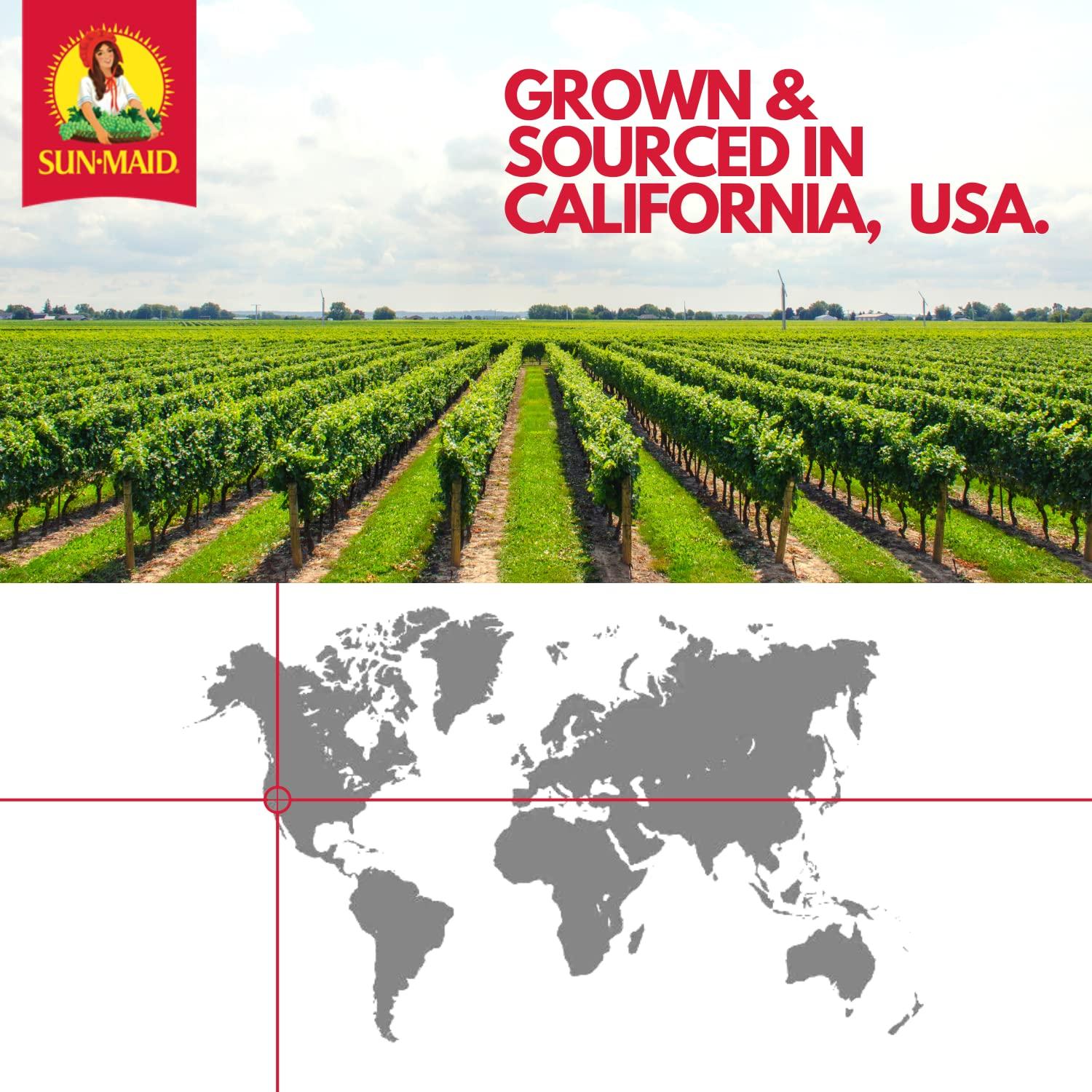 Sun-Maid California Pitted Dates 8 Ounce (Pack of 10) | Whole Natural ...