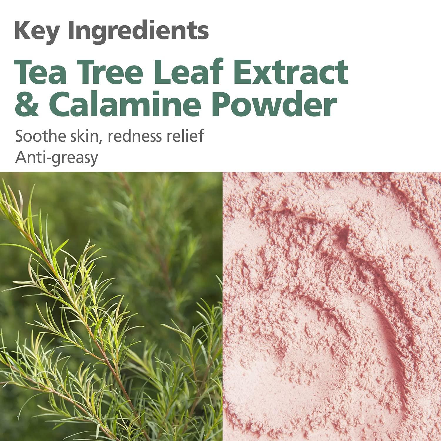 BRING GREEN Tea Tree Tone-up Sun Cushion SPF 50 | Zinc Oxide Sunscreen ...