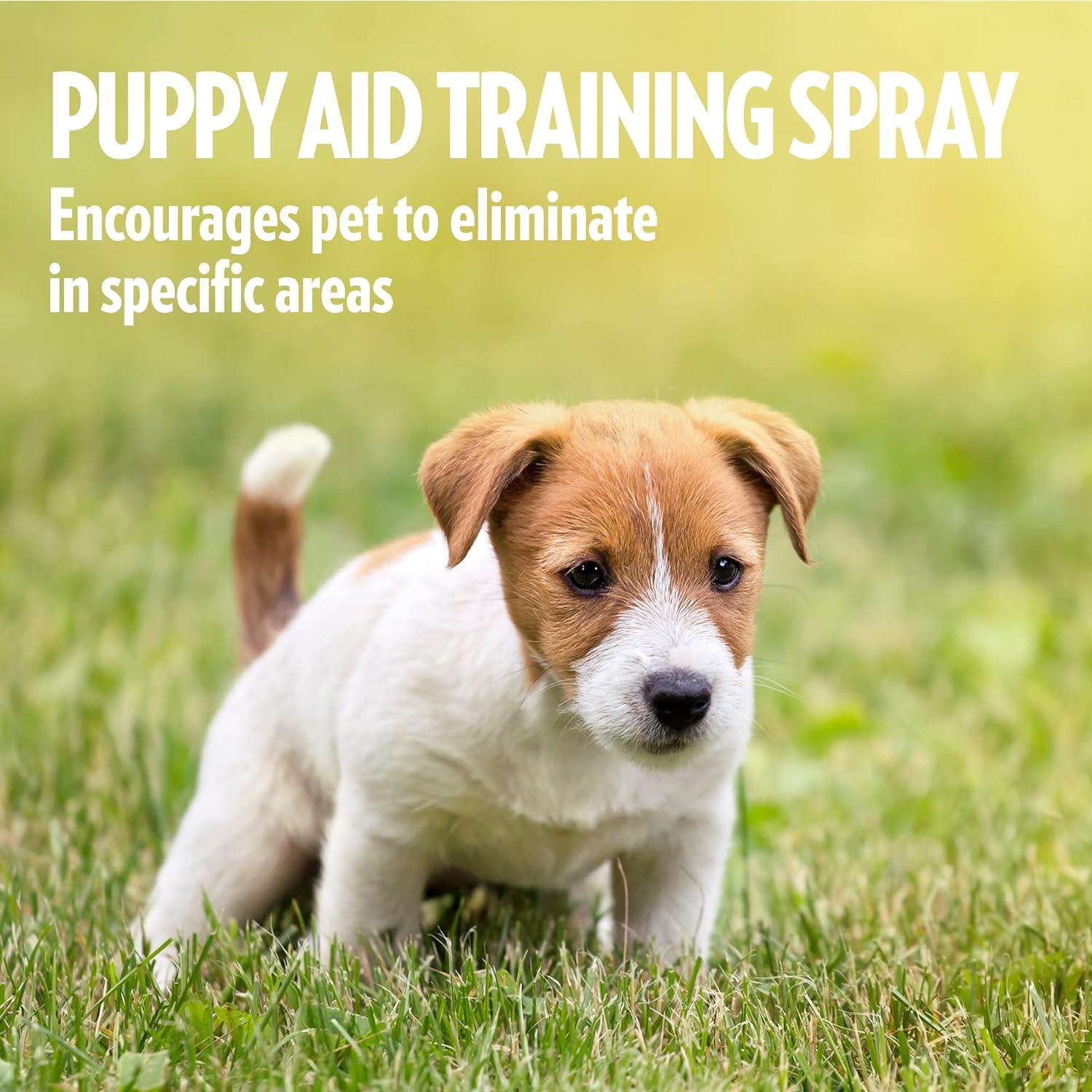 Simple Solution House Training Aid for Puppies & Dogs - 500ml | Buy Now ...