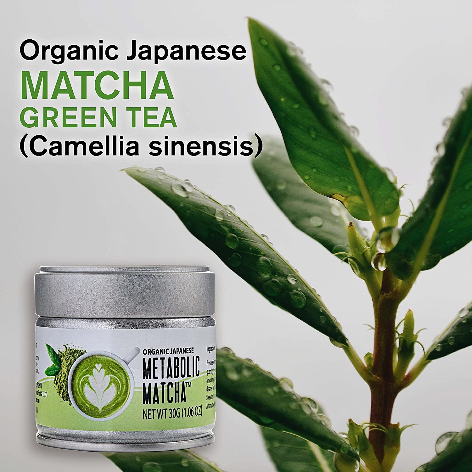 NaturalSlim Metabolic Matcha 1.06 Oz - Organic Japanese Green Tea ...
