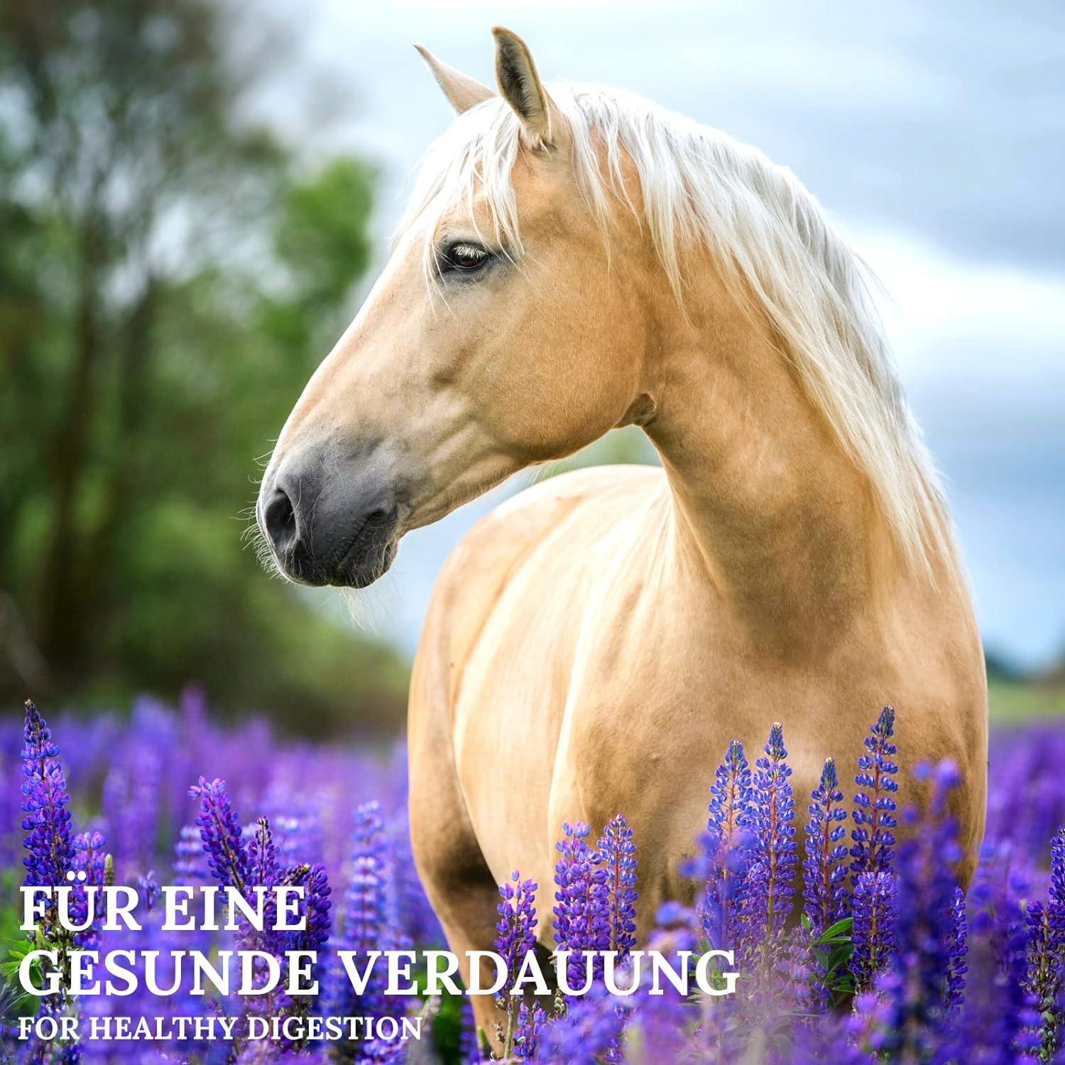 Premium 100% Natural Horse Boots Oil - Cold-Pressed Omega-3 Rich ...