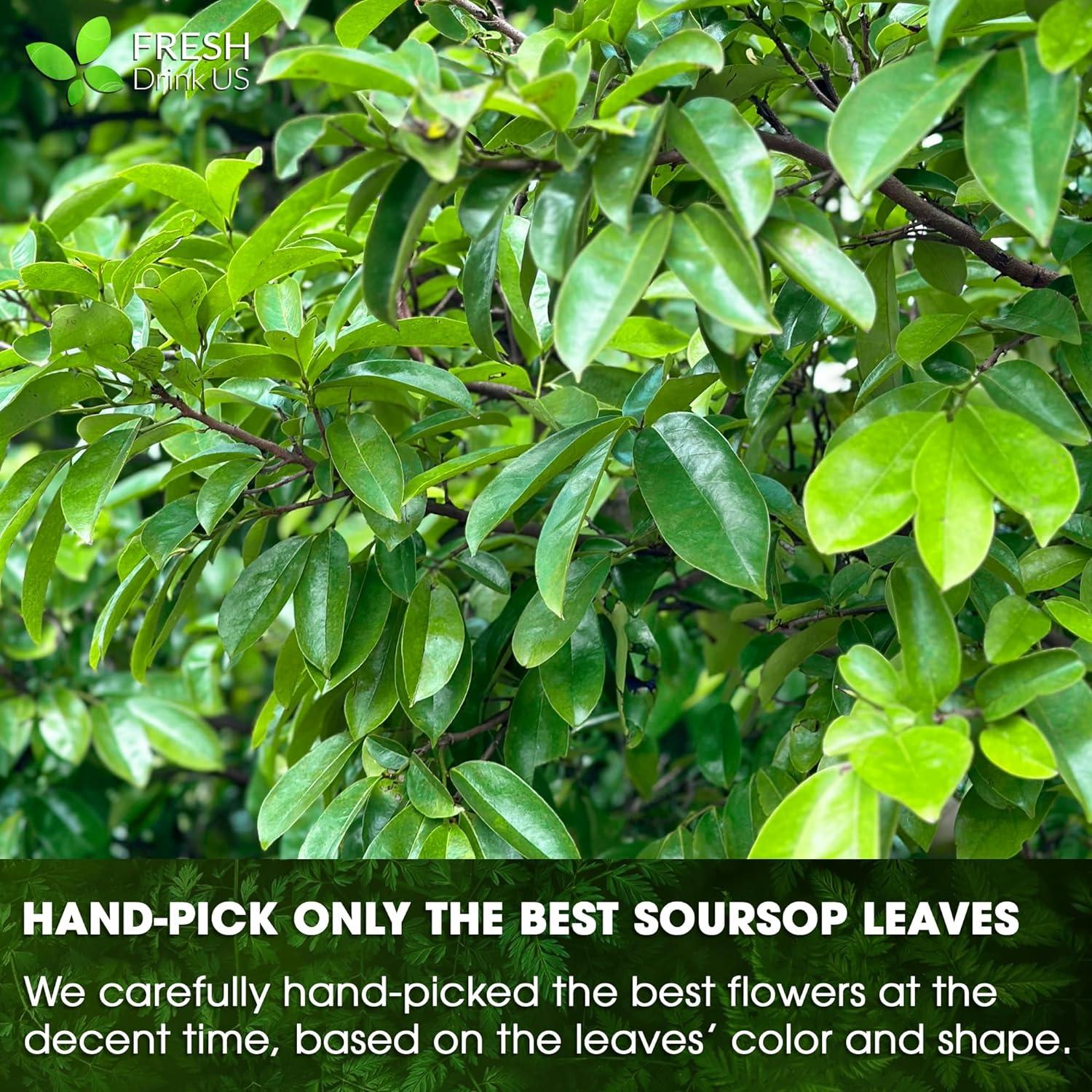 FRESHDRINKUS Premium Soursop Tea Bags - 40 Soursop Leaves Tea Bags ...