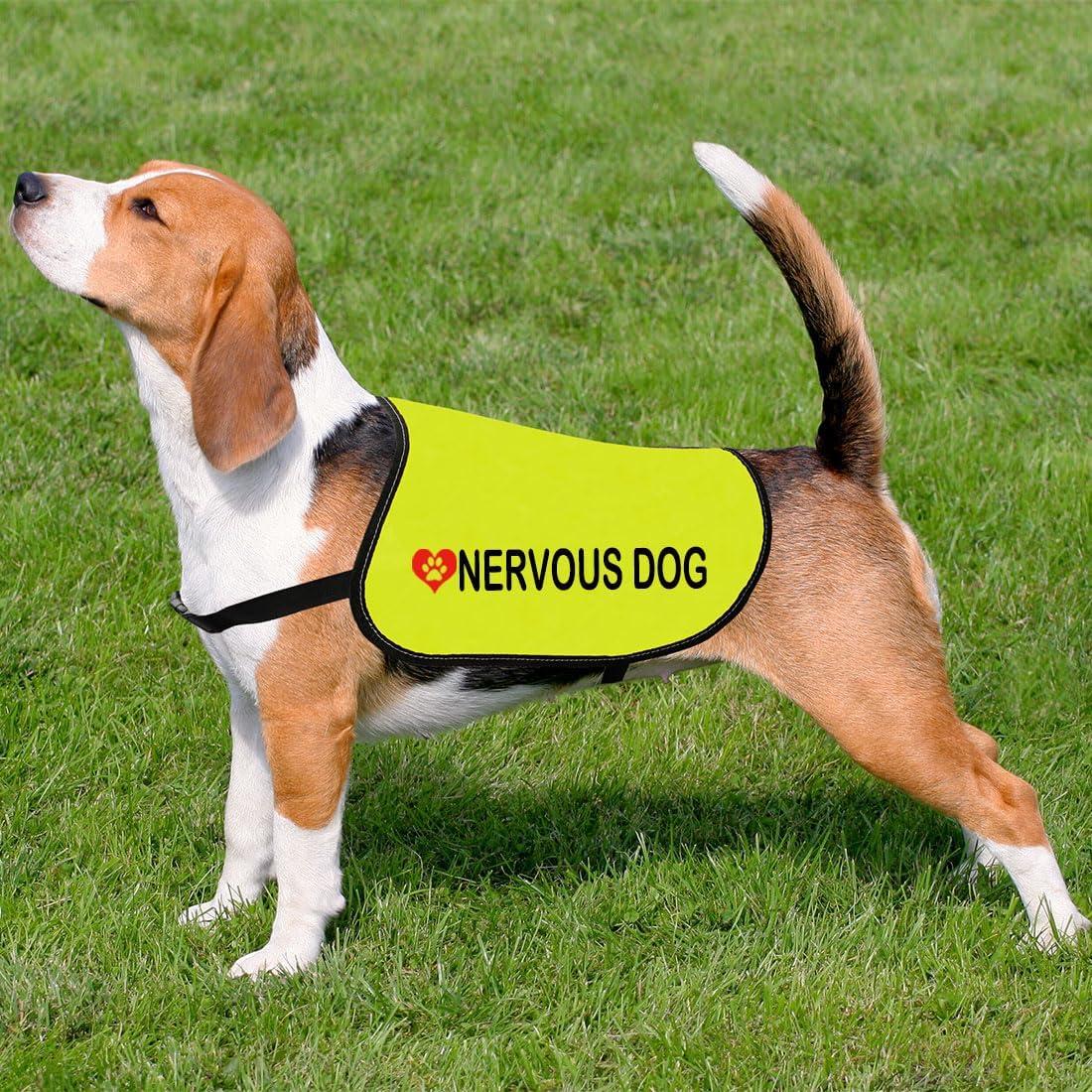 Nervous Dog Jacket Vest Rescue Dogs Anxious Dogs Scared Dogs Slogan ...