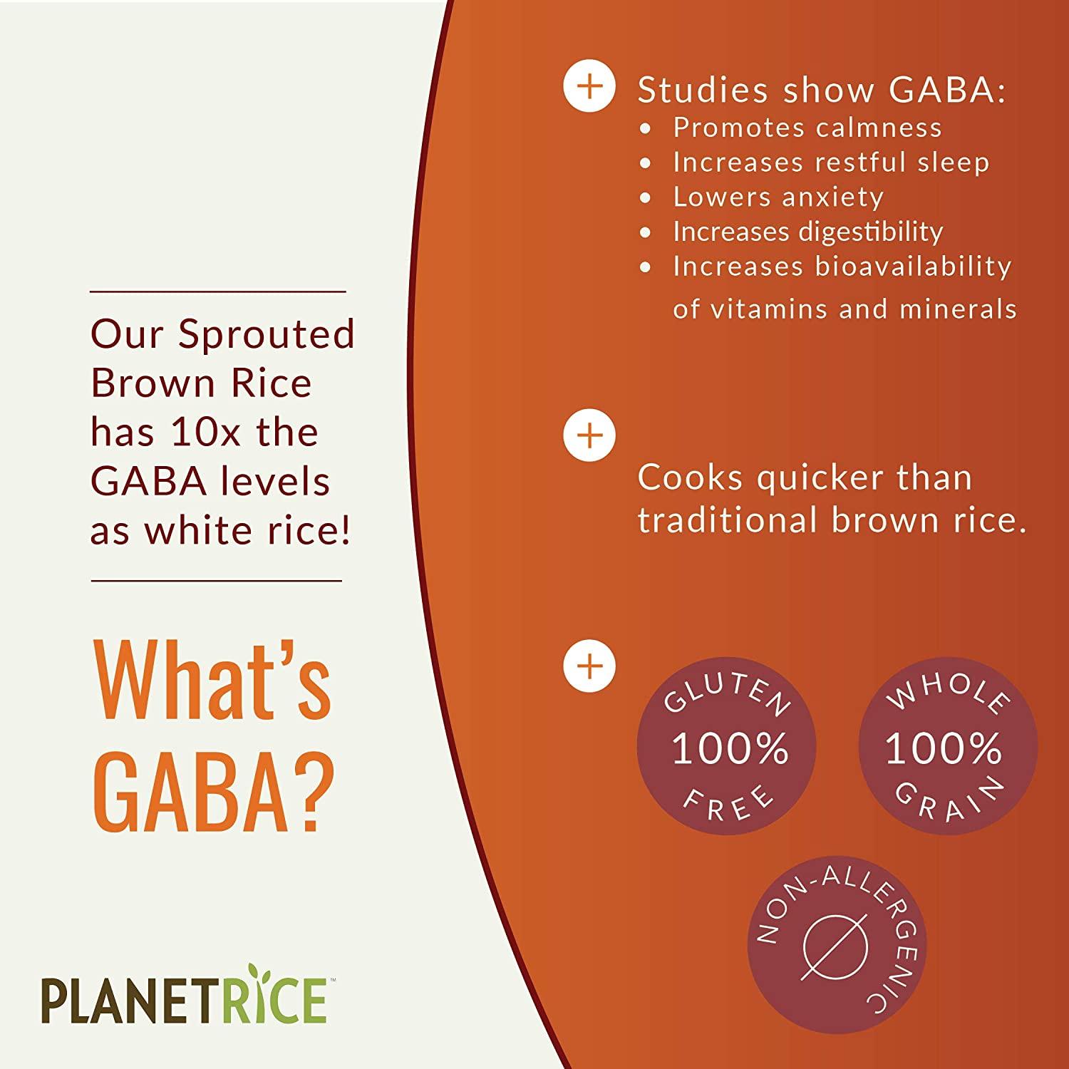 Planet Rice Sprouted Brown Gaba Rice - Gluten-Free Vegan Paleo Bulk ...