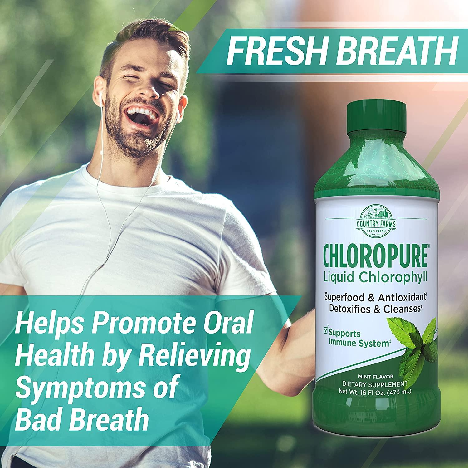 Country Farms Chloropure Liquid Chlorophyll Mint - 16 fl oz ...
