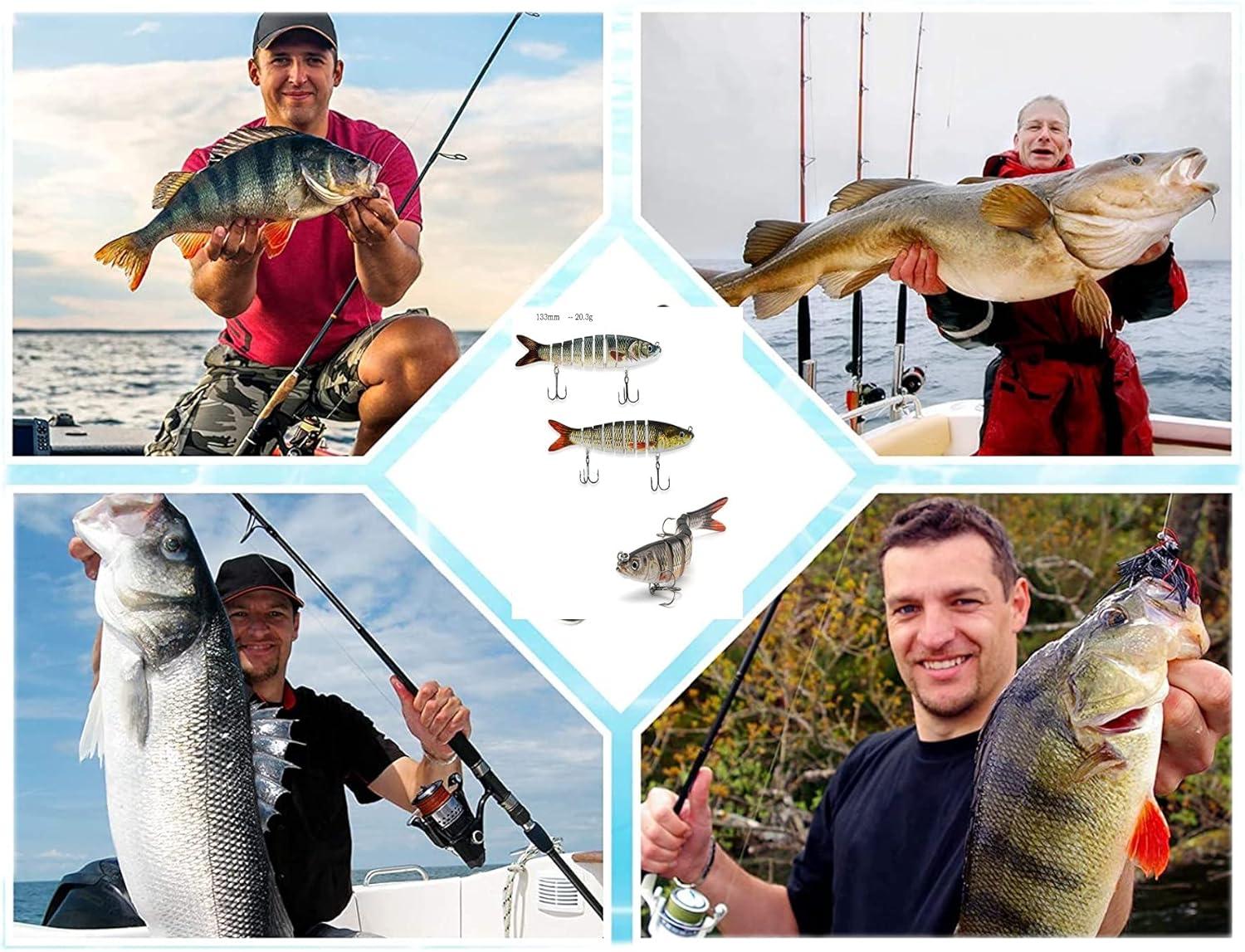Premium Wobbler Set for Jerkbait Fishing | Trout & Pike Perch Bait with ...