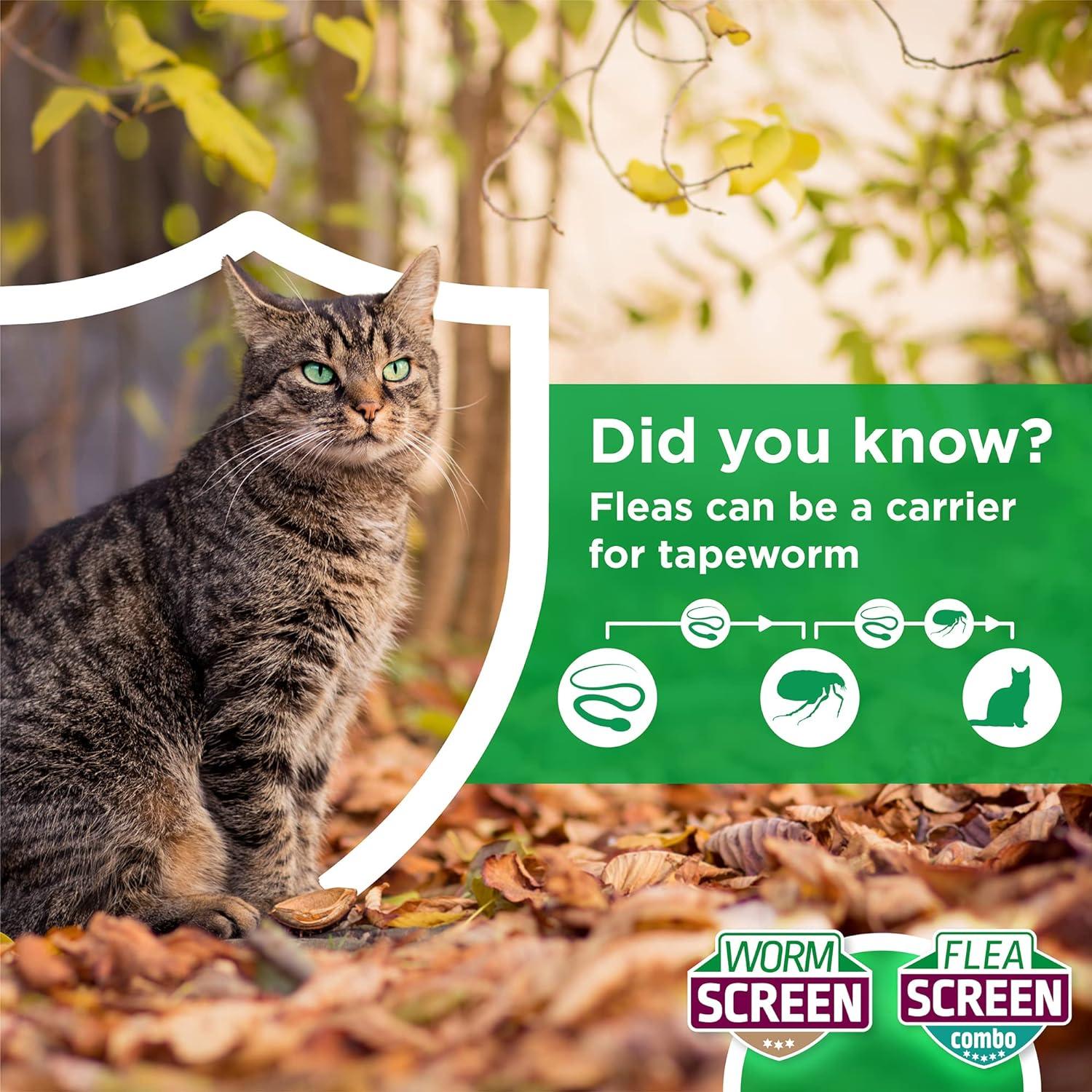 WORM SCREEN Cat (2 tablets) - Veterinary Licensed Dewormer for Cats and ...