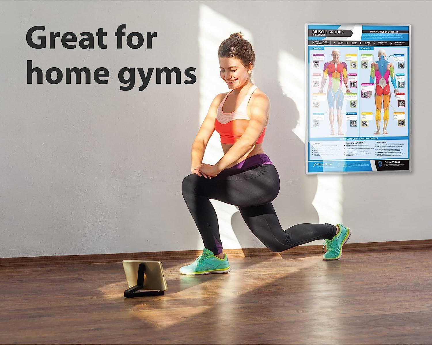 Muscle Group Workout Posters for Home Gym | Exercise Chart | Laminated ...