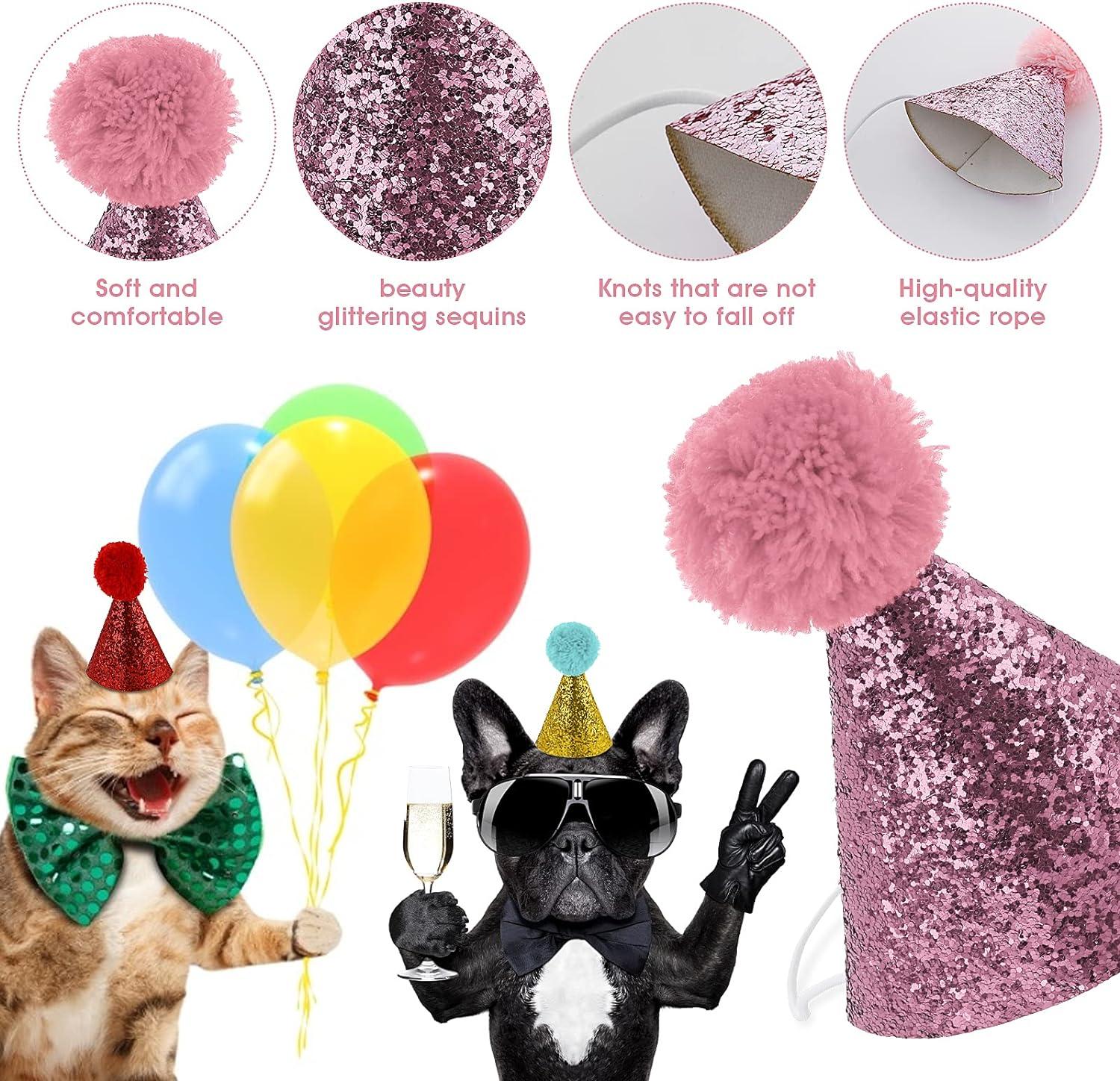 dog party hat pattern