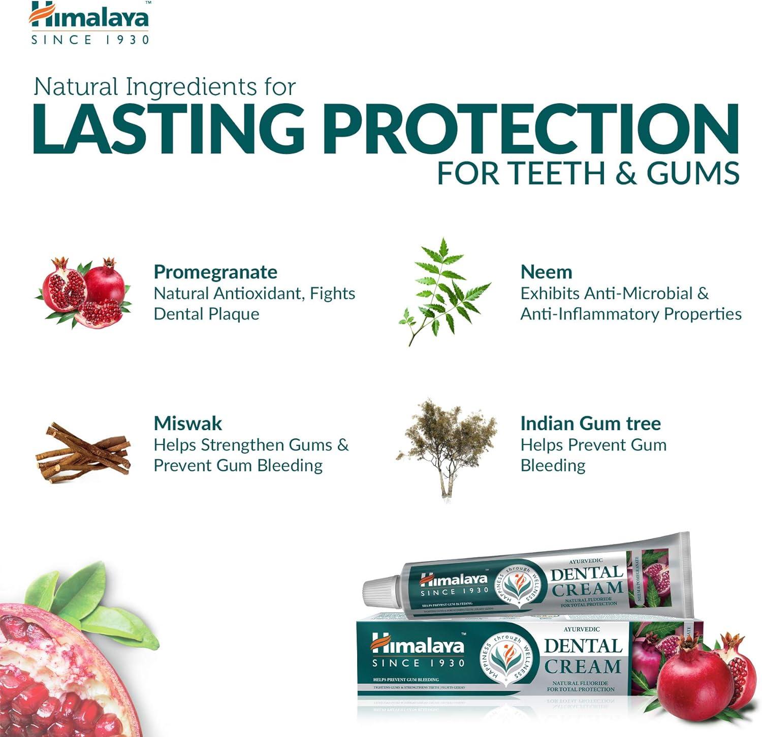 Himalaya Ayurvedic Dental Cream - Neem & Pomegranate Toothpaste | Gum ...