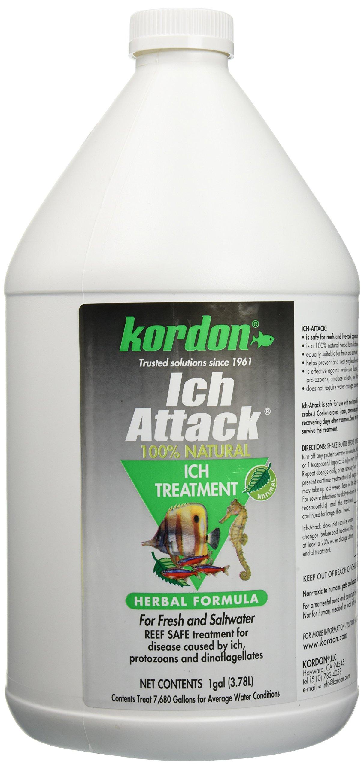 Kordon #39462 Ich Attack for Aquarium - 1 Gallon | Effective Ich Treatment | Buy Now with ...