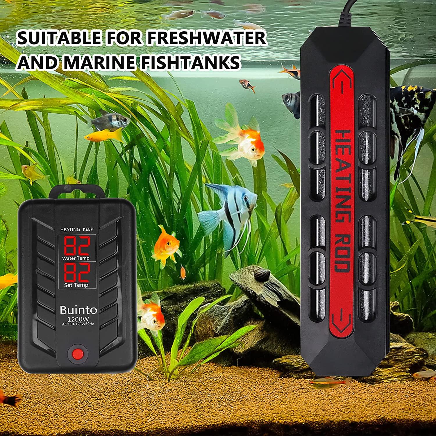 Buinto 1200W Aquarium Heater | Double Tube Rapid Heating for Fish Tank ...
