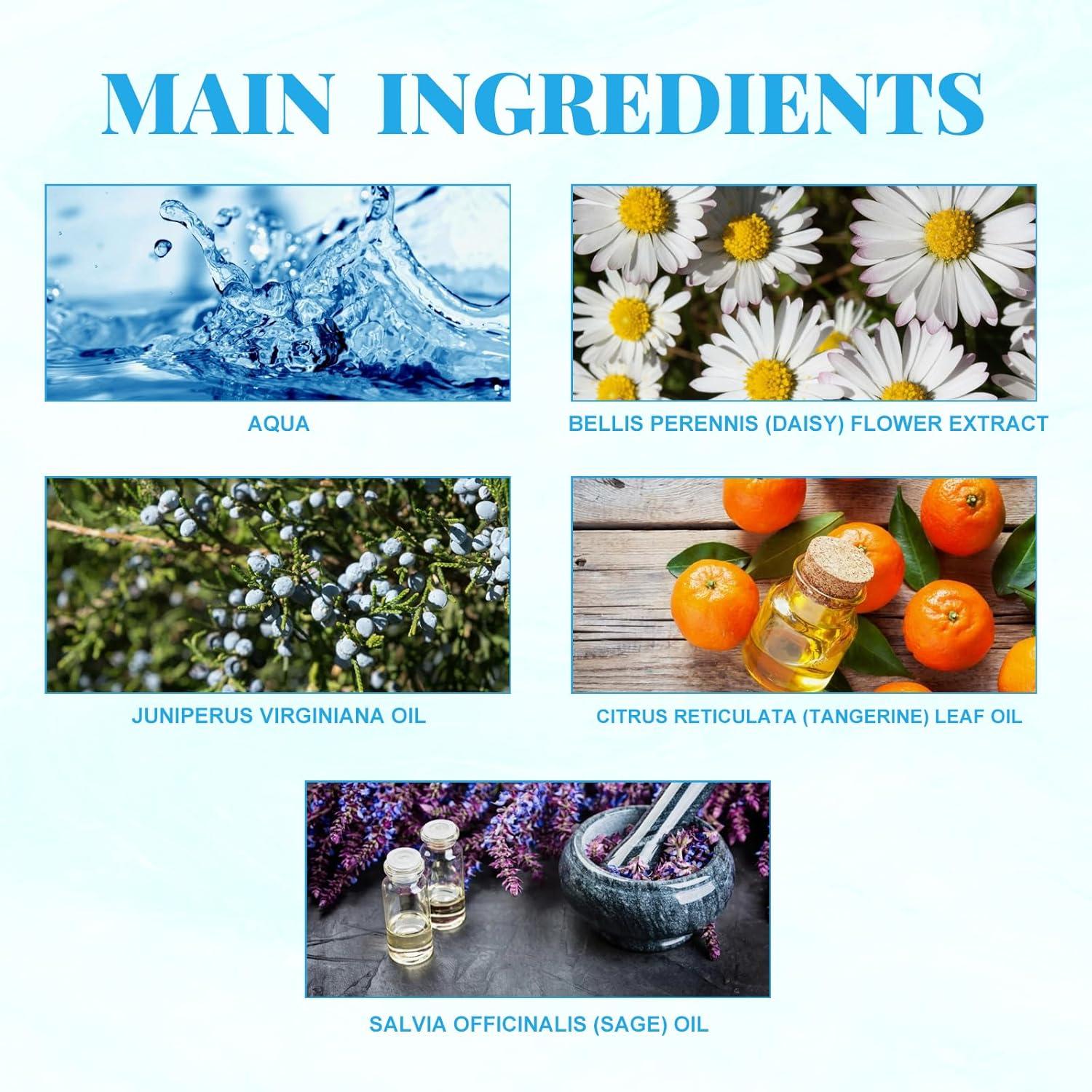 Ocean Fragrance Mist Long Lasting Fresh Perfume Spray Summer Breeze Eau ...