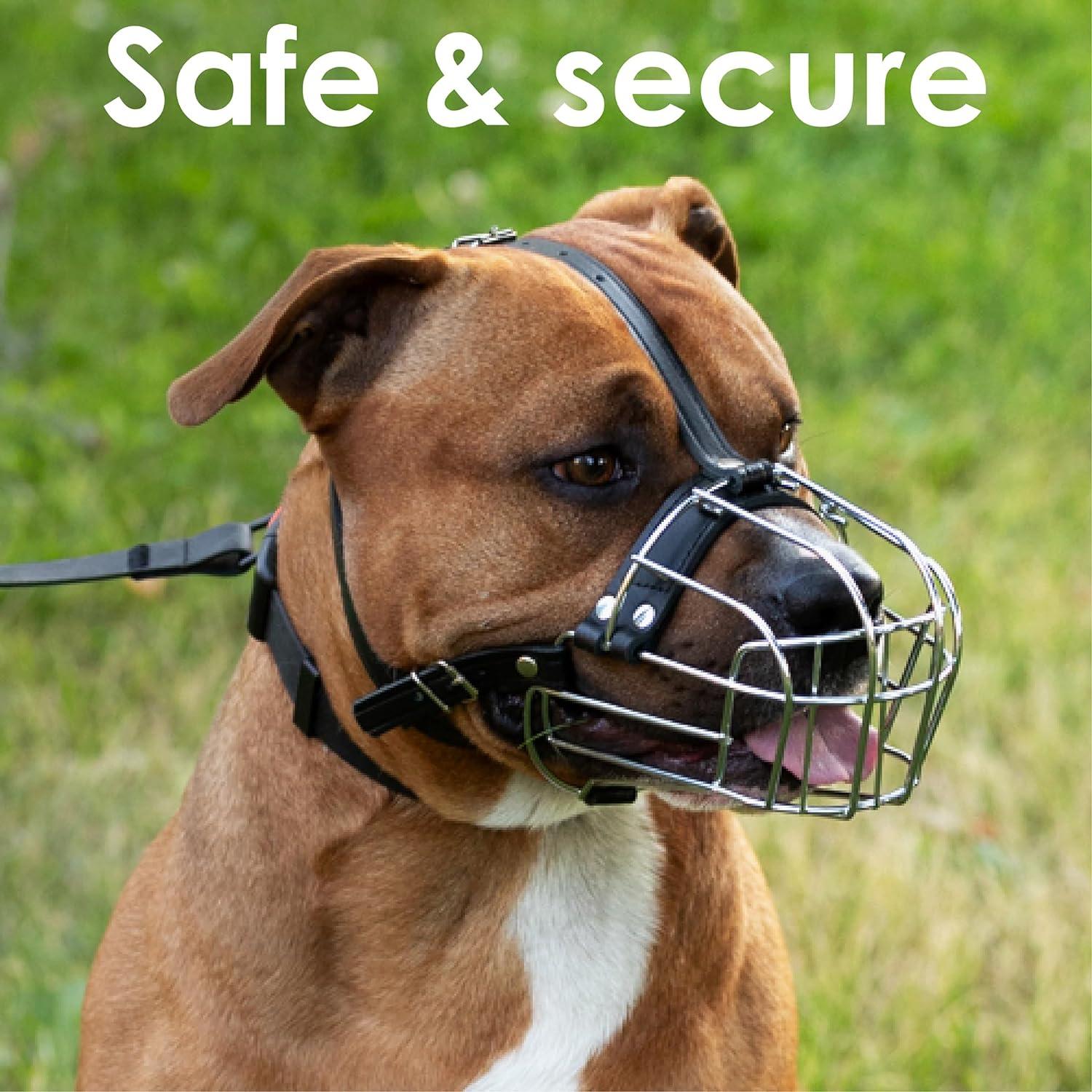 BRONZEDOG Pitbull Dog Muzzle - Adjustable Metal Mask with Leather ...
