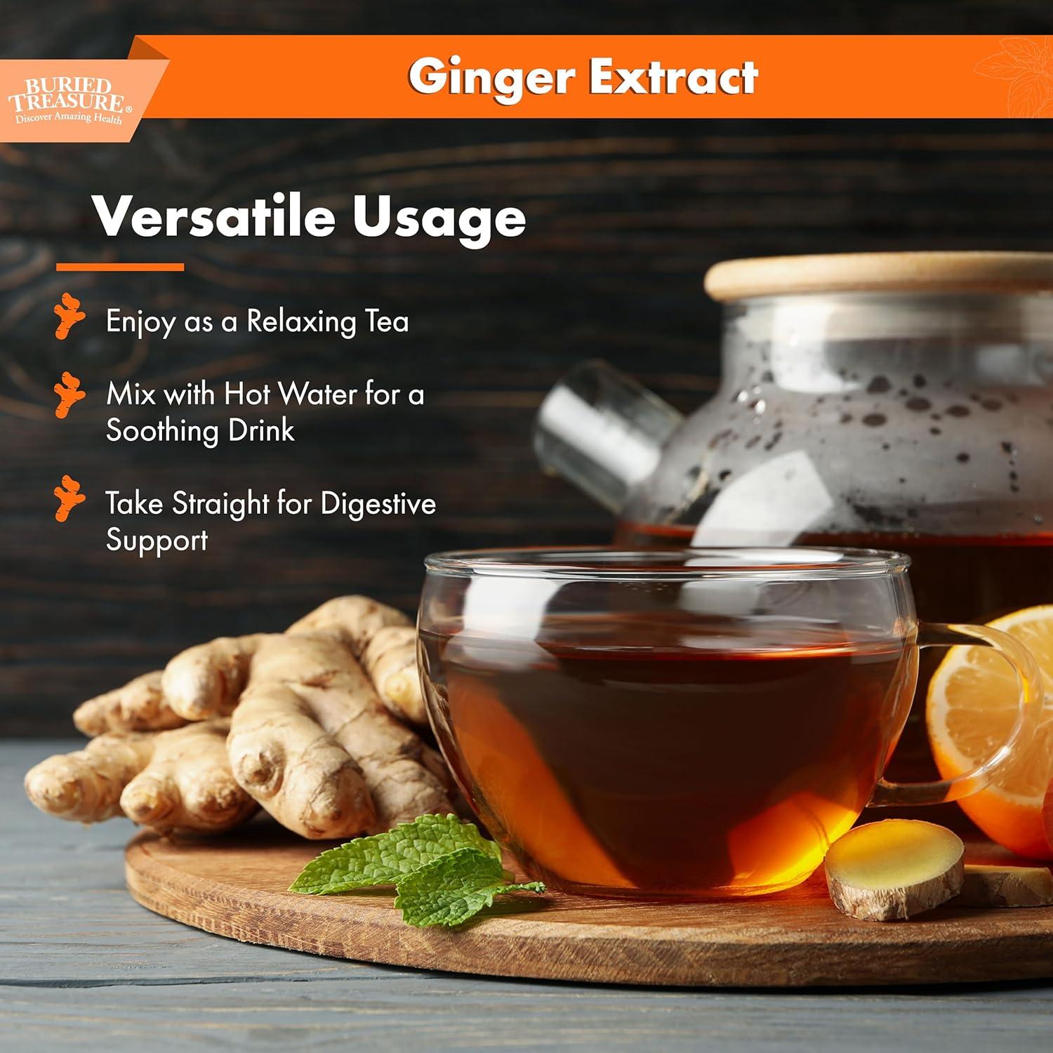 Buried Treasure Ginger Drops - Organic Ginger Root for Digestive ...