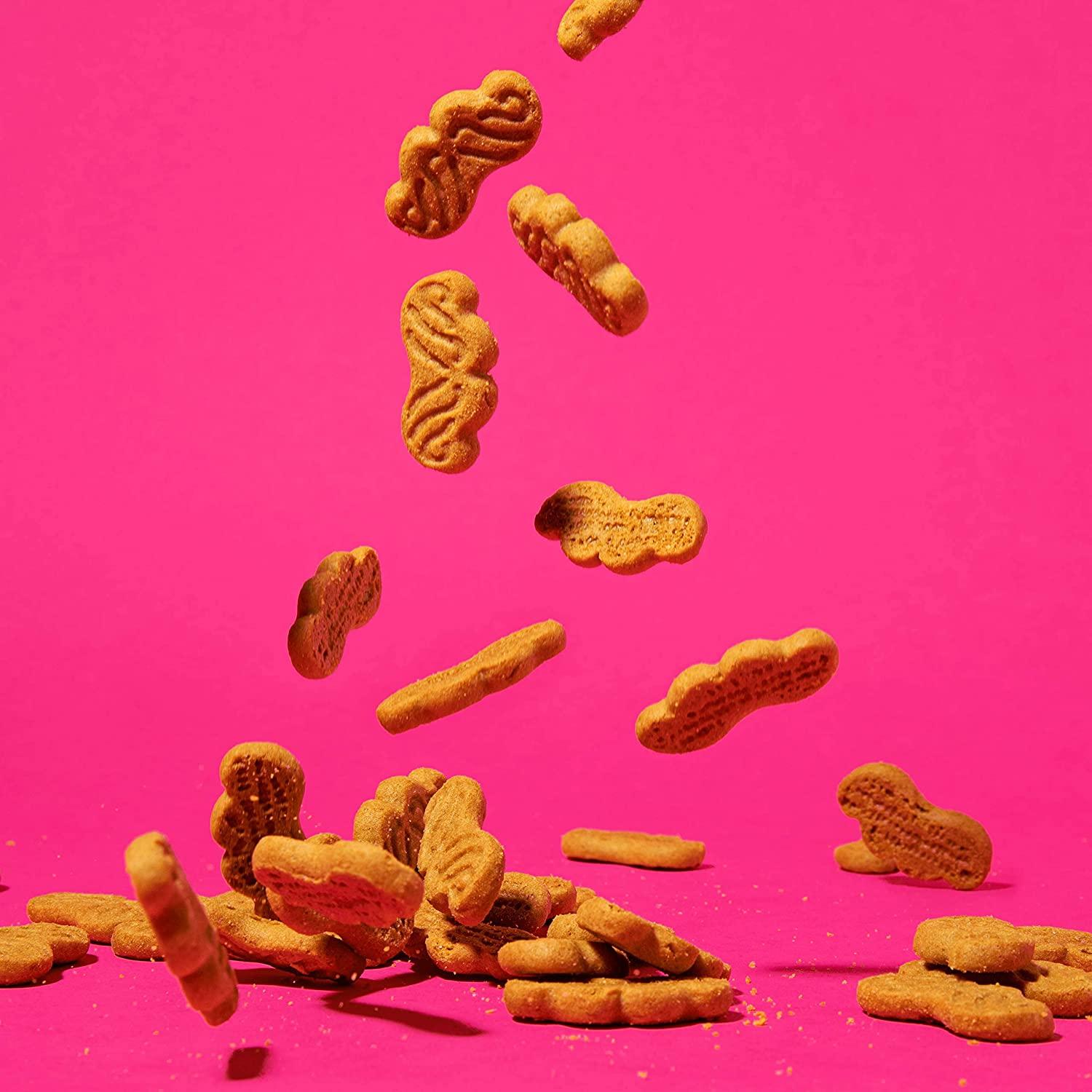 Belgian Boys Speculoos Mini Cookie Stash - Europe Spice Butter Cookies ...