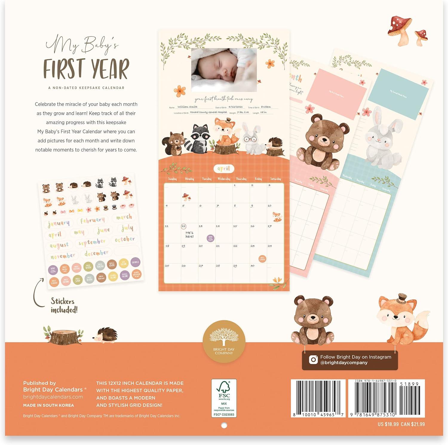 Bright Day Baby's First Year Calendar - Milestone Tracker and Keepsake ...