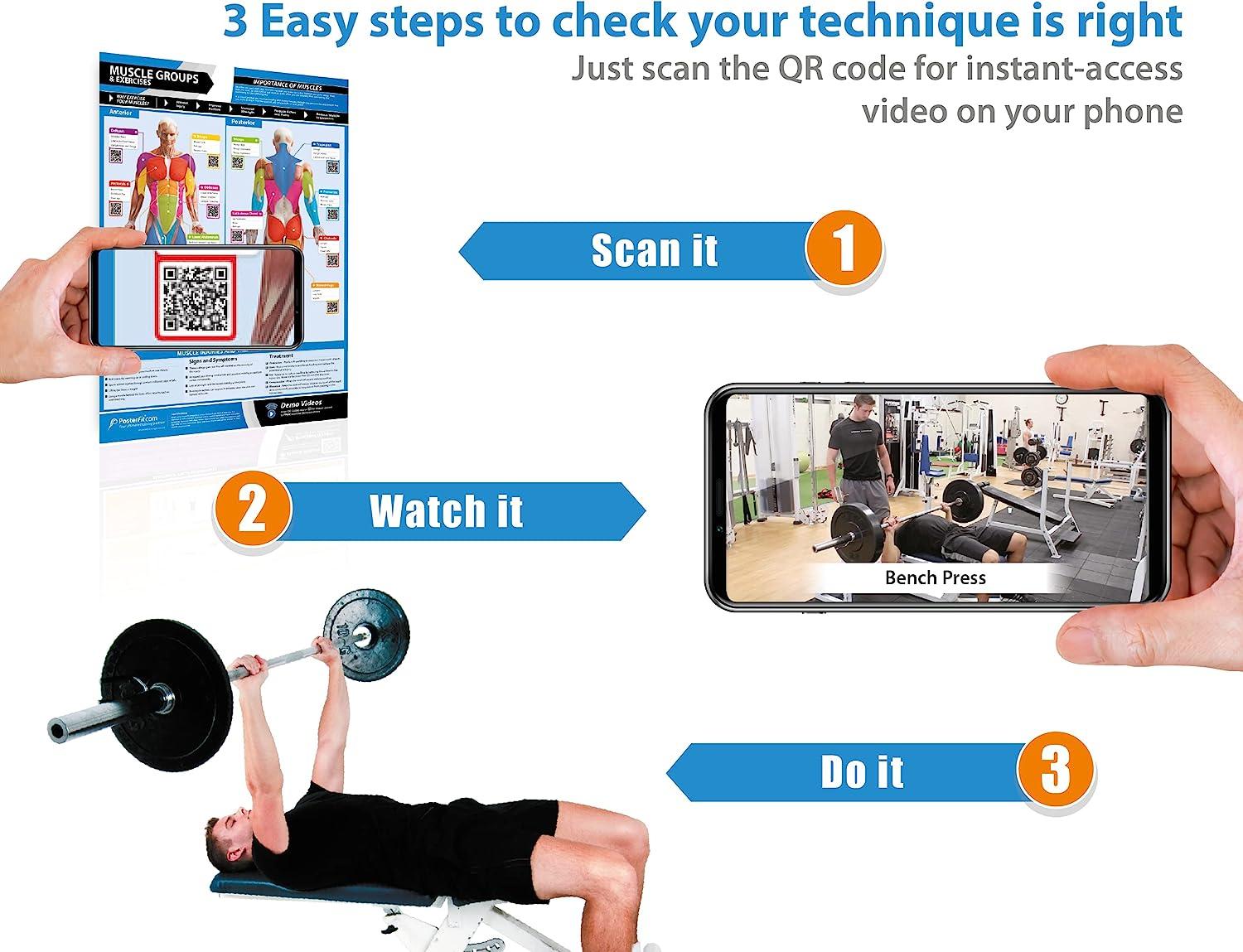 Muscle Group Workout Posters for Home Gym | Exercise Chart | Laminated ...