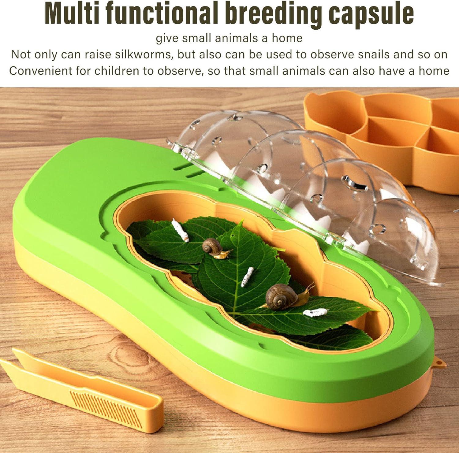 Observation Box Baby Silkworm Shape Silkworm Rearing Bucket Mesh Hole ...