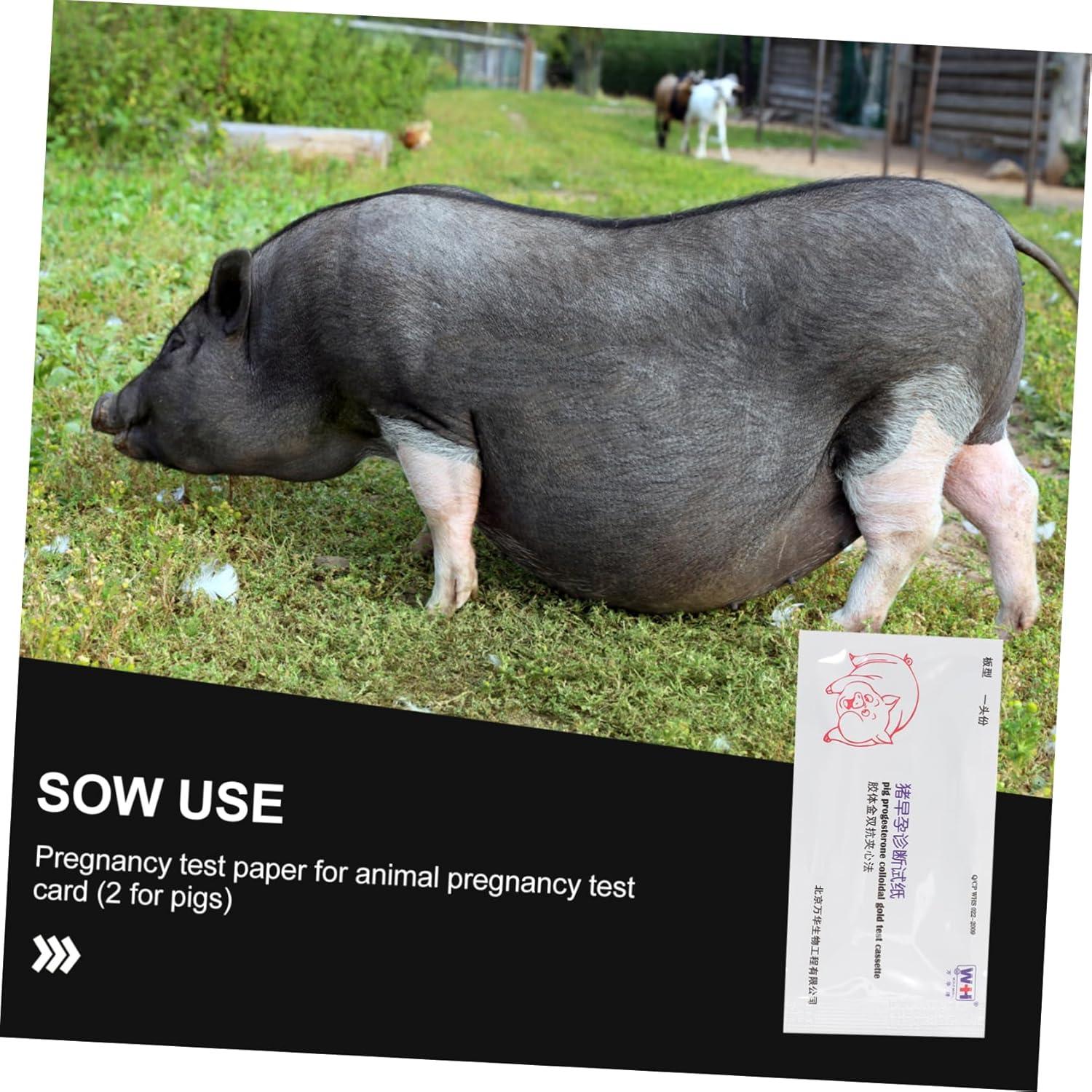 Magiclulu 4-Piece Pregnant Tester Kit | Farm-Test Tools for Pregnancy ...