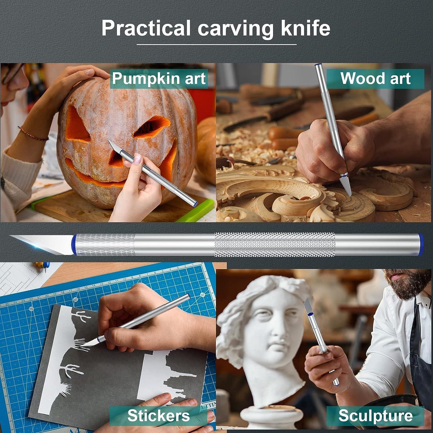 15Pcs Precision Craft Hobby Knife Set for Carving, Modeling ...