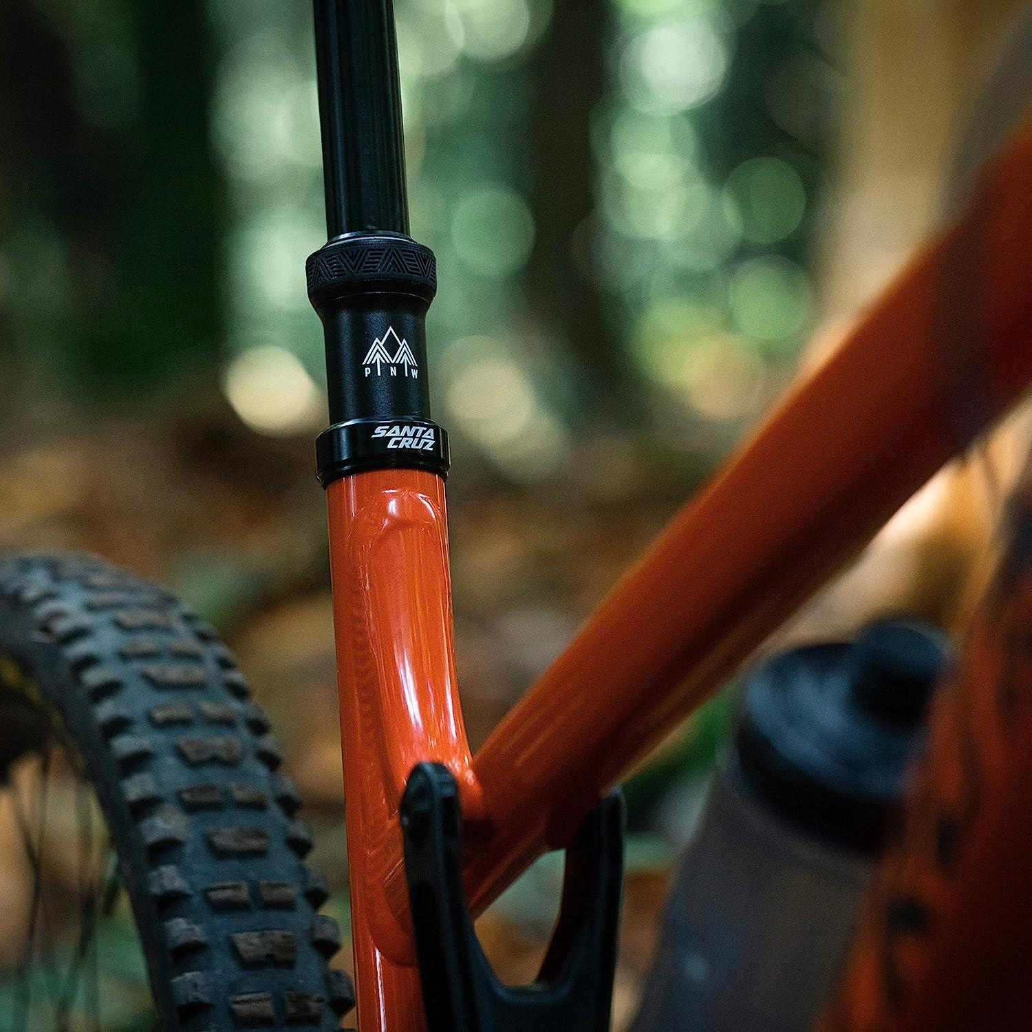 Loam Dropper Post 30.9/170mm - Adjustable Travel | [Brand Name] | Buy ...