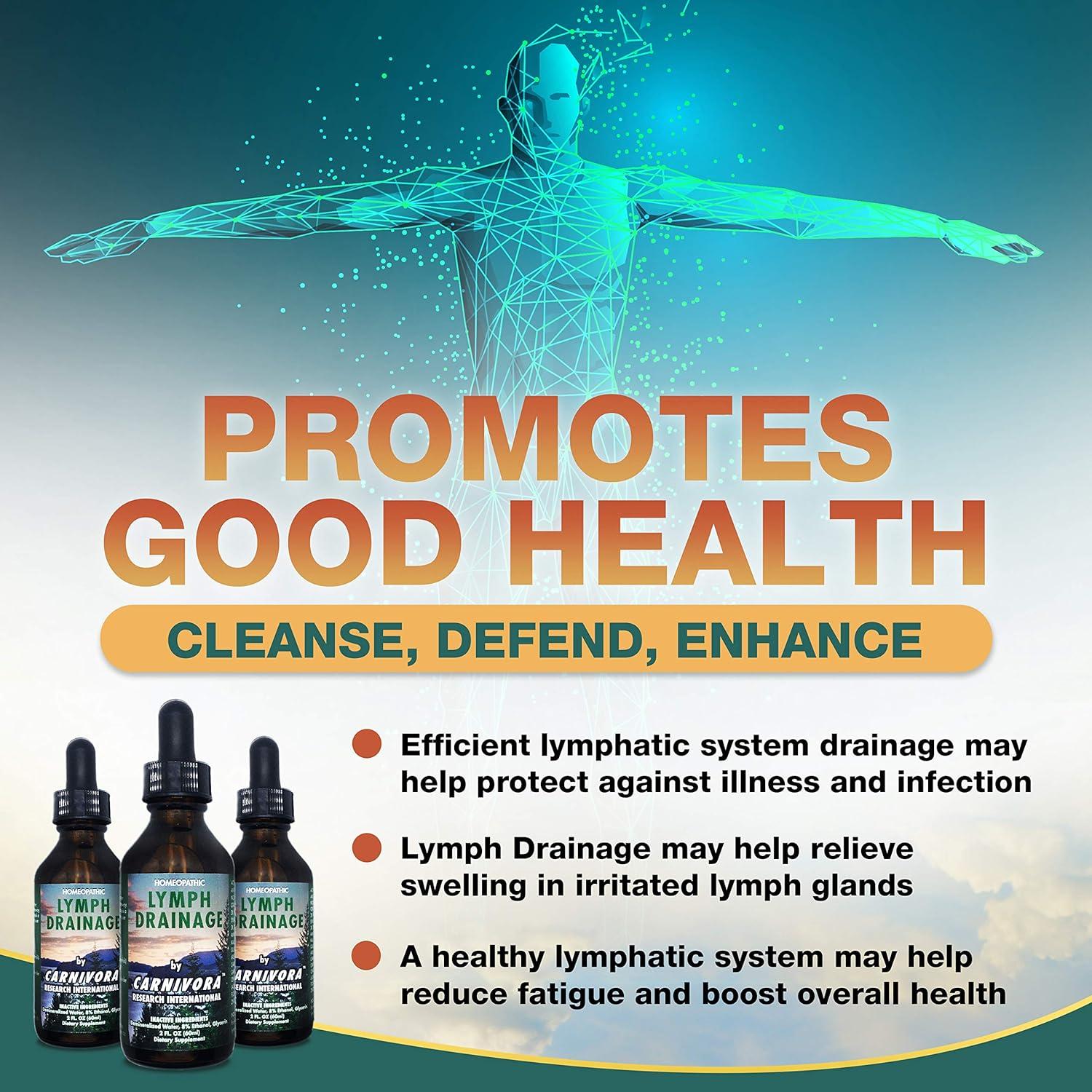 Carnivora Lymph Drainage Drops - Cleanse & Stimulate Lymphatic System ...