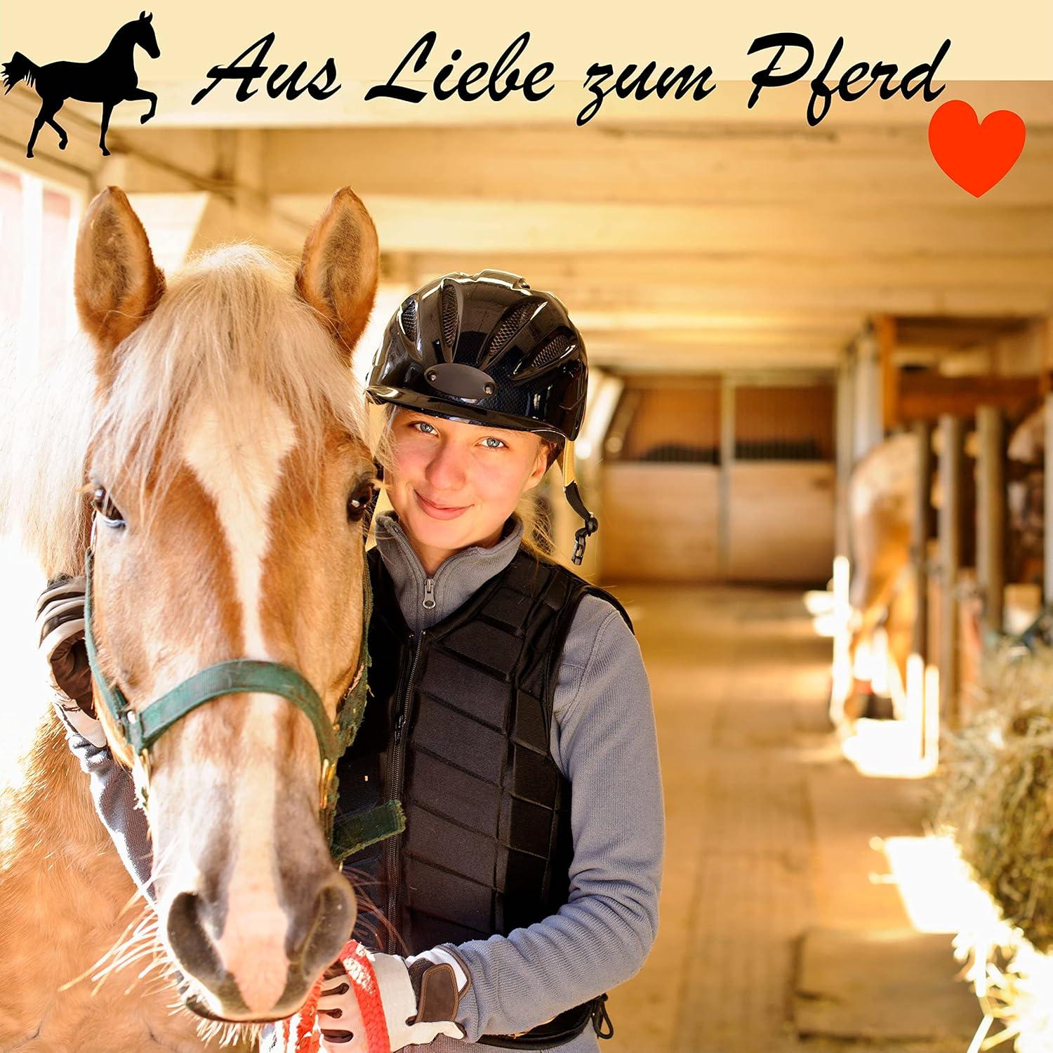 Bridle Holder for Horses - Premium Saddle Chamber with Additional Hooks ...