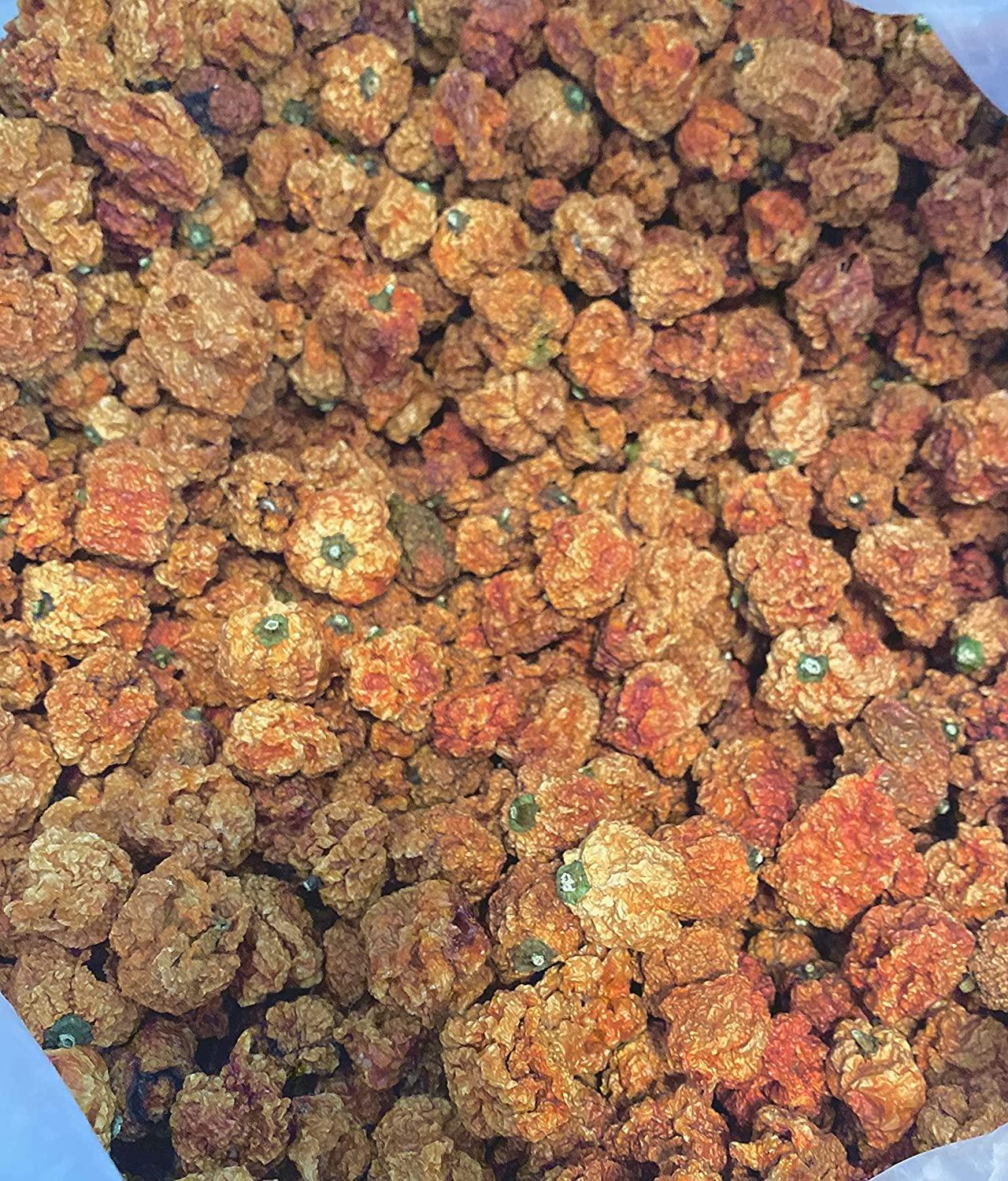 Carolina Reaper Chili Pepper - Whole Dried (8 + Bonus Peppers) | Buy ...