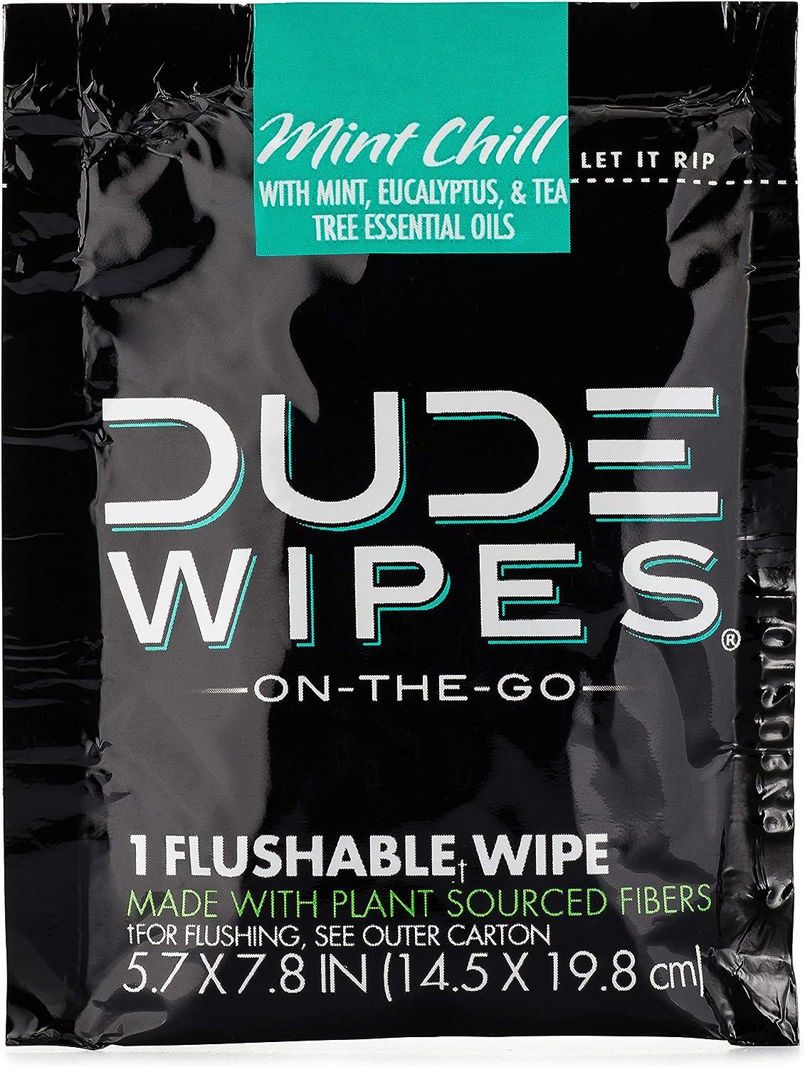 Dude Wipes On-The-Go Flushable Mint Chill Wet Wipes - 30ct Individually ...
