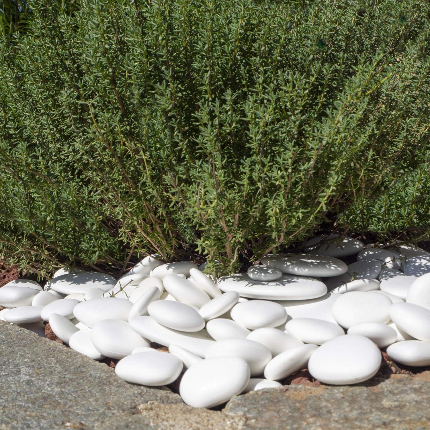 Kalapanta - Large size recycled plastic decorative pebbles for pots ...
