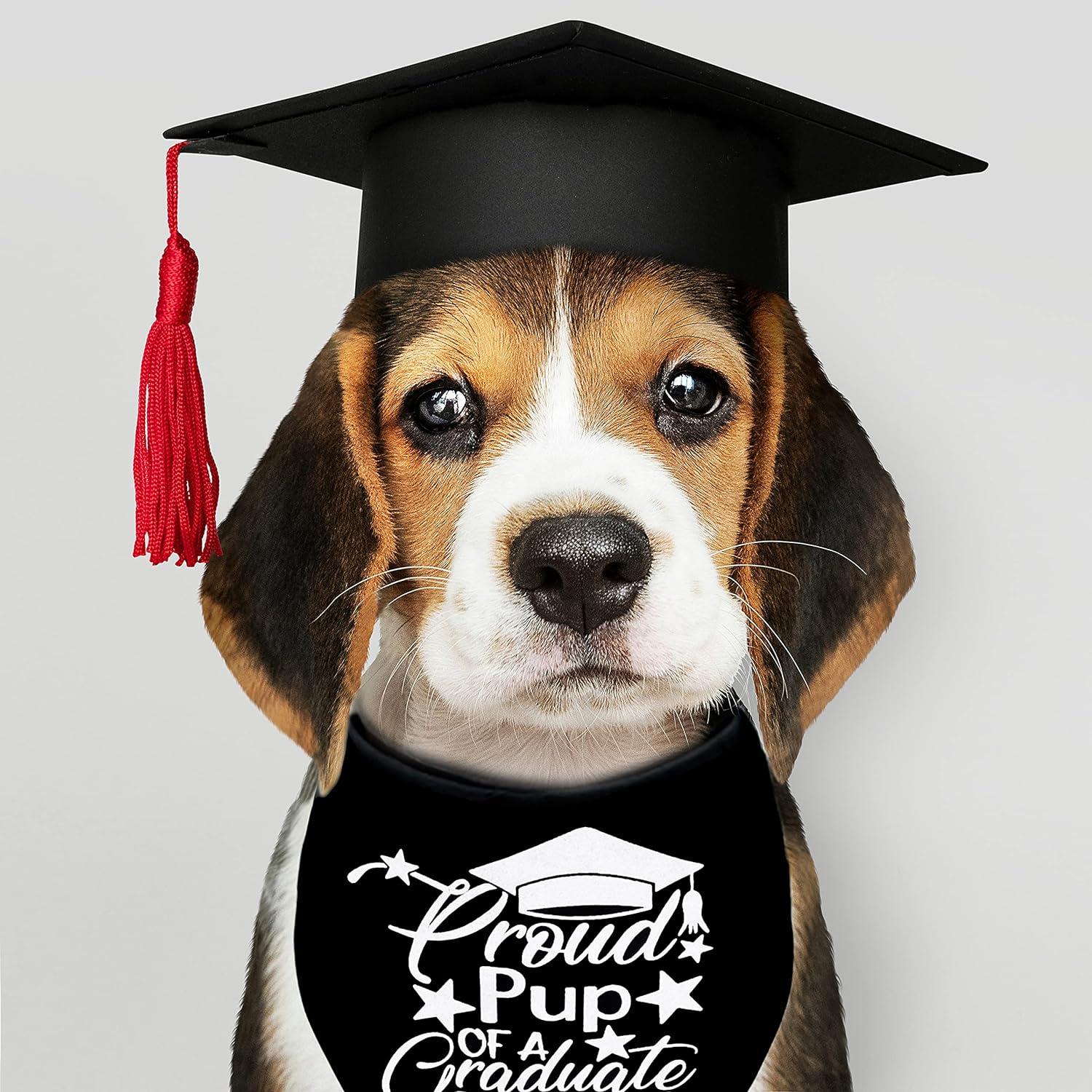 Proud of Mom Graduation Bandana 2 Pack for Dogs and Cats - Large Proud ...