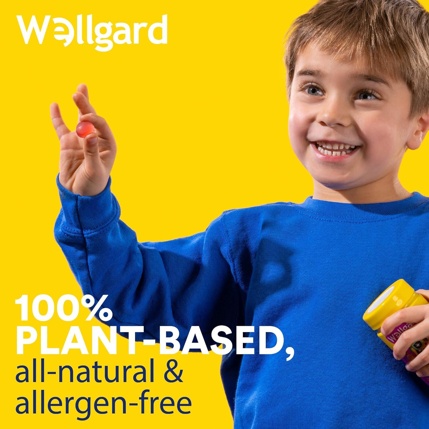 Wellgard Kids Vitamin D3 Gummies - 2 Month Supply - Vegan Mixed Berry ...