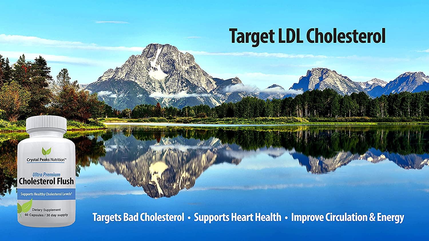 Cholesterol Supplement - Natural Ingredients for Healthy HDL and LDL ...
