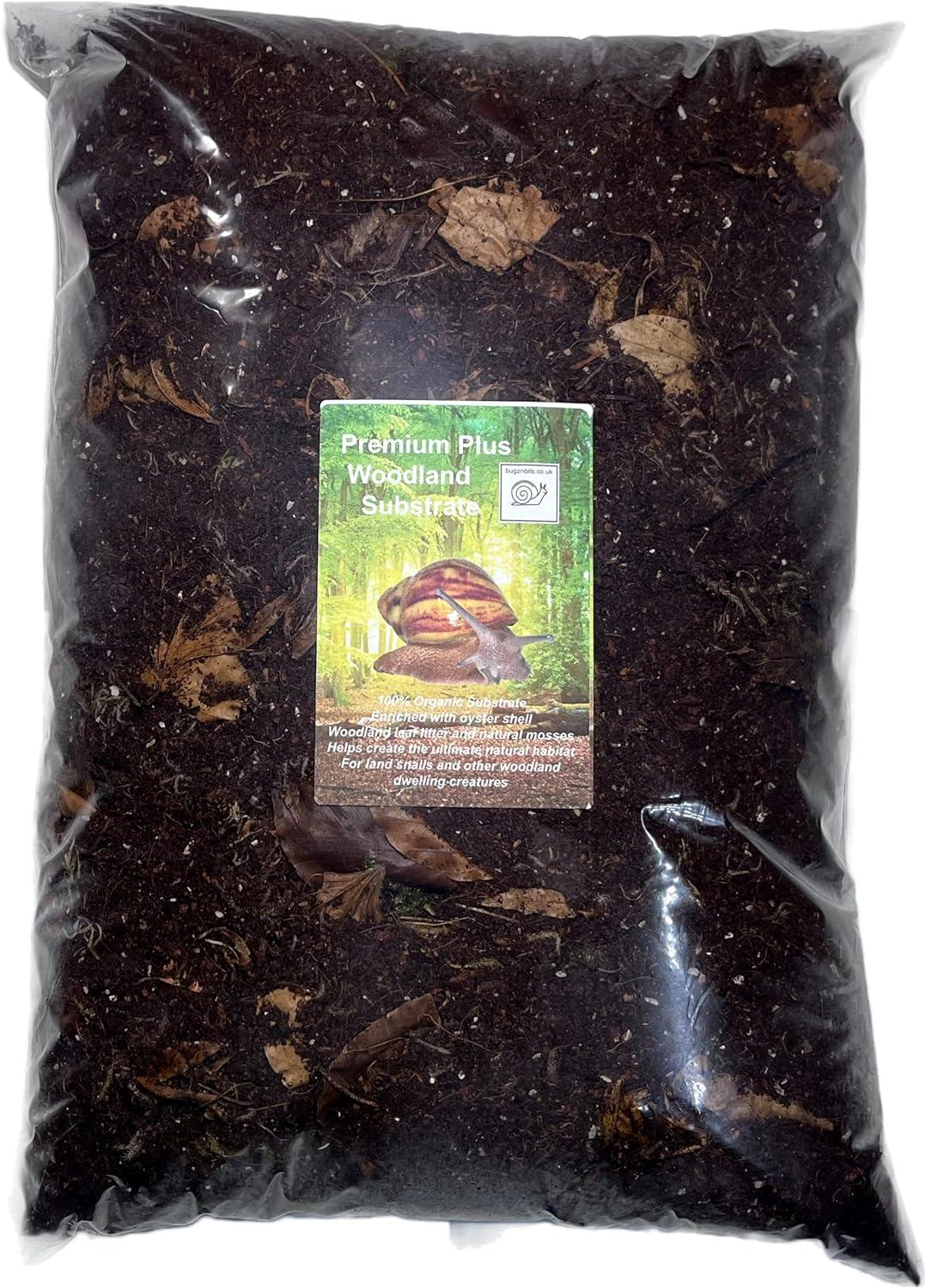 Bugznbits Premium Plus + Woodland Land Snail Soil. African land snail ...