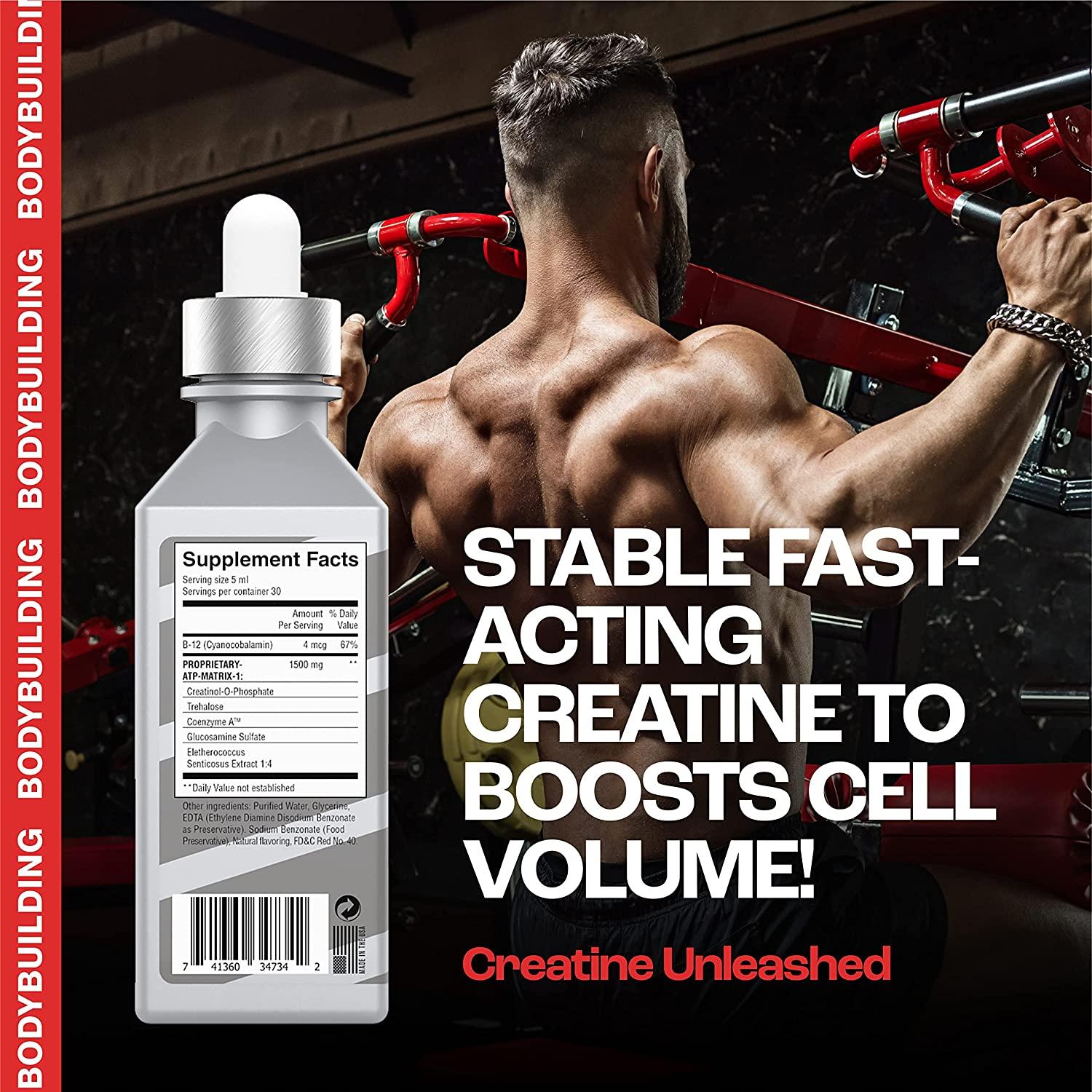 ATP Creatine Serum: Pre-Workout Muscle Fuel for High Energy Boost ...