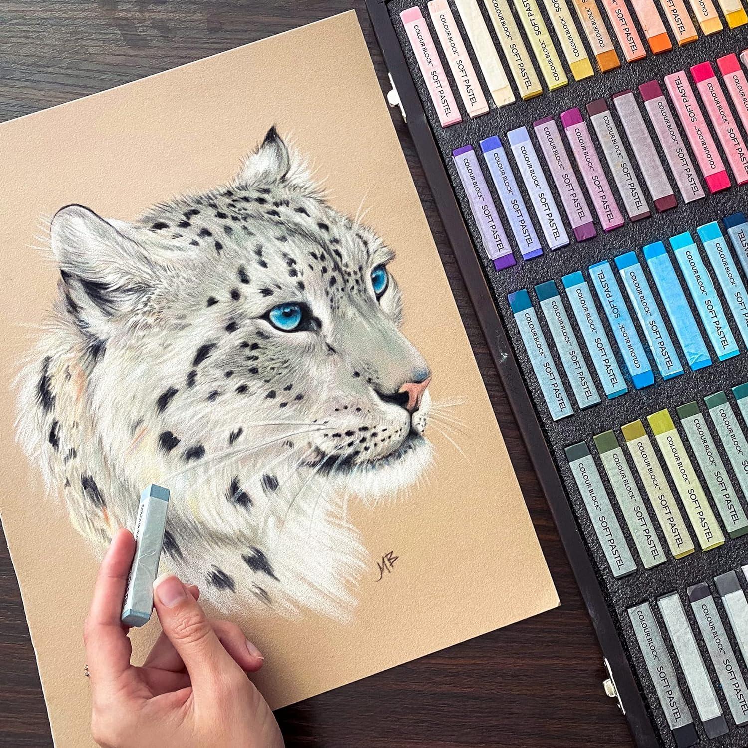 COLOUR BLOCK 100pc Wooden Case Soft Pastel Art Set for Beginners and ...