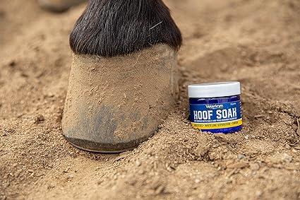Vetericyn Hoof Soak for Abscesses White Line Separation and Thrush ...