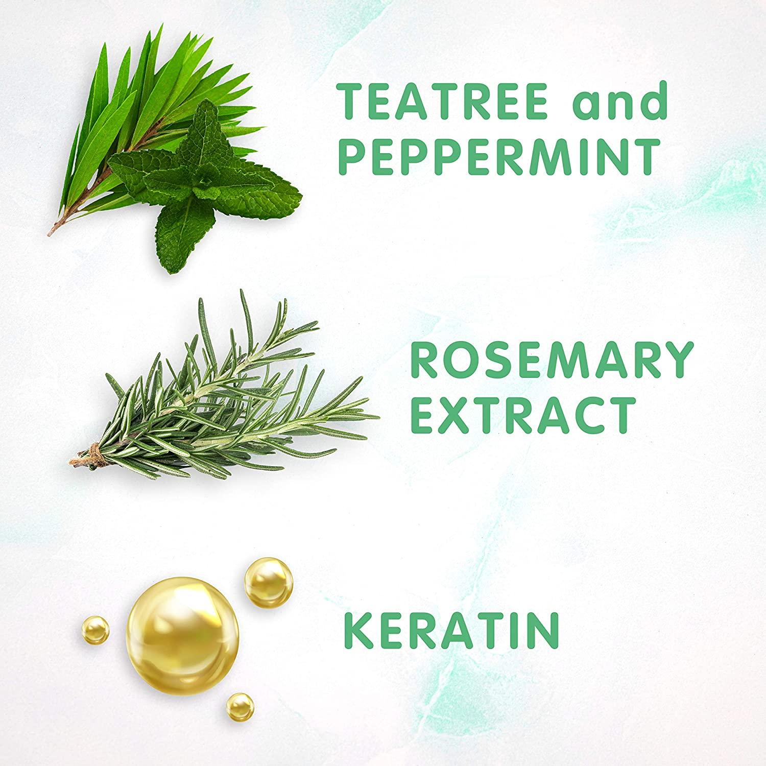 SoCozy Boo! Lice Scaring Spray (Travel Size) | Tea Tree, Rosemary ...