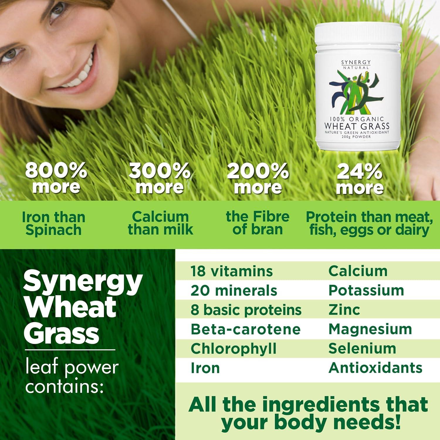Synergy 200g Wheat Grass Powder - Pure and Potent Superfood Supplement ...