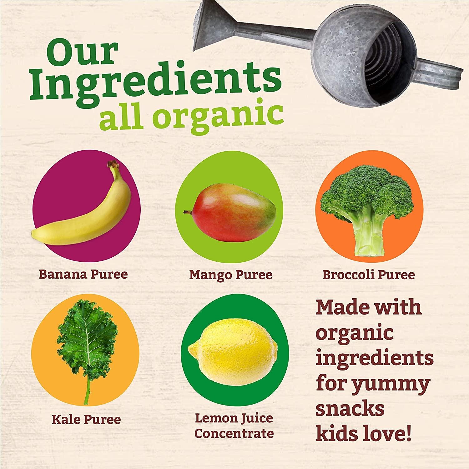 Pumpkin Tree Peter Rabbit Organics Banana Mango Kale Squeeze Pouch ...