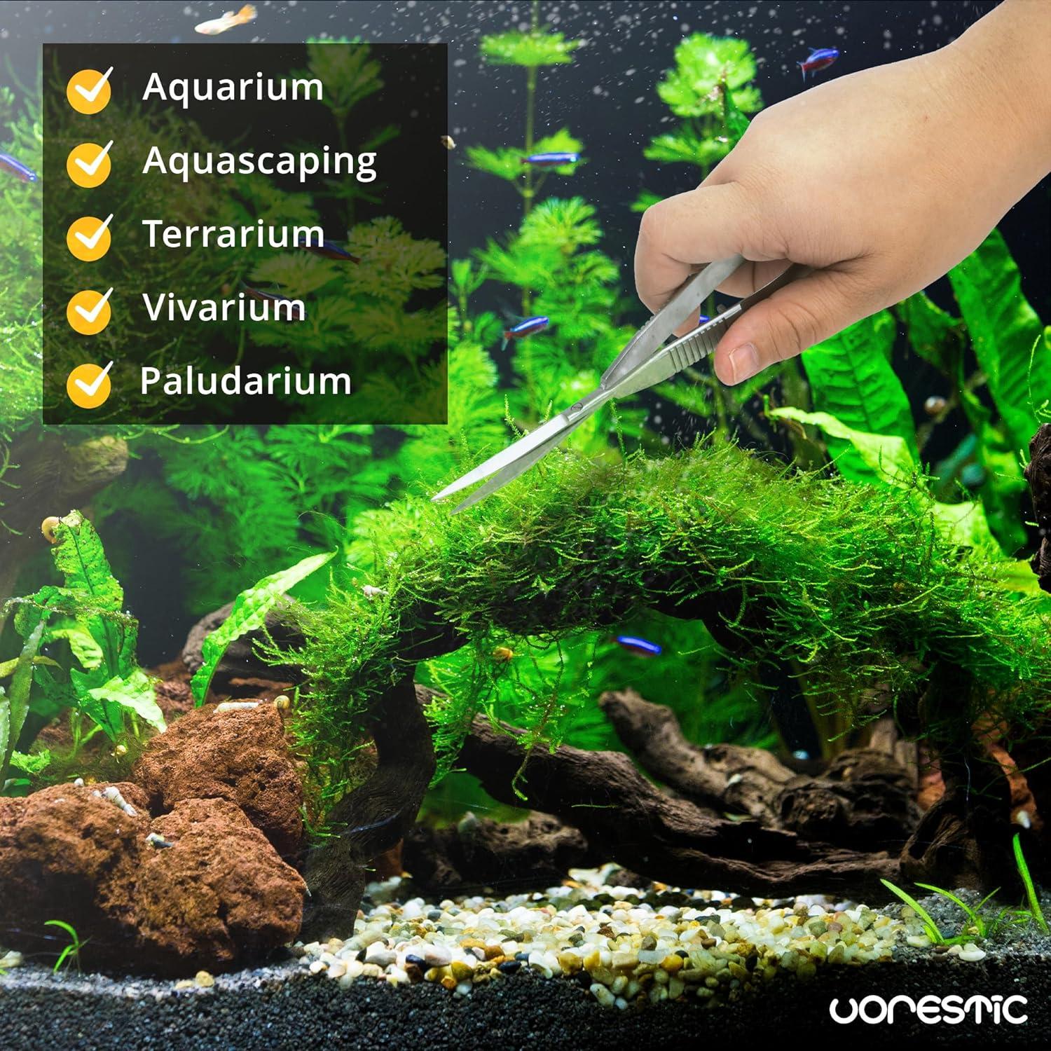 VORESTIC 16cm Curved Spring Scissors for Aquarium & Terrarium Plants ...