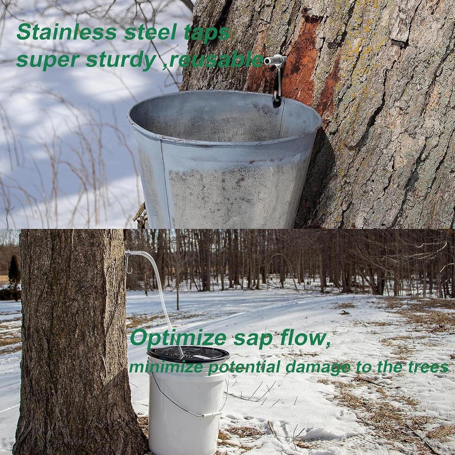 Premium Stainless Steel Maple Syrup Taps - Reusable Tree Water Taps for ...
