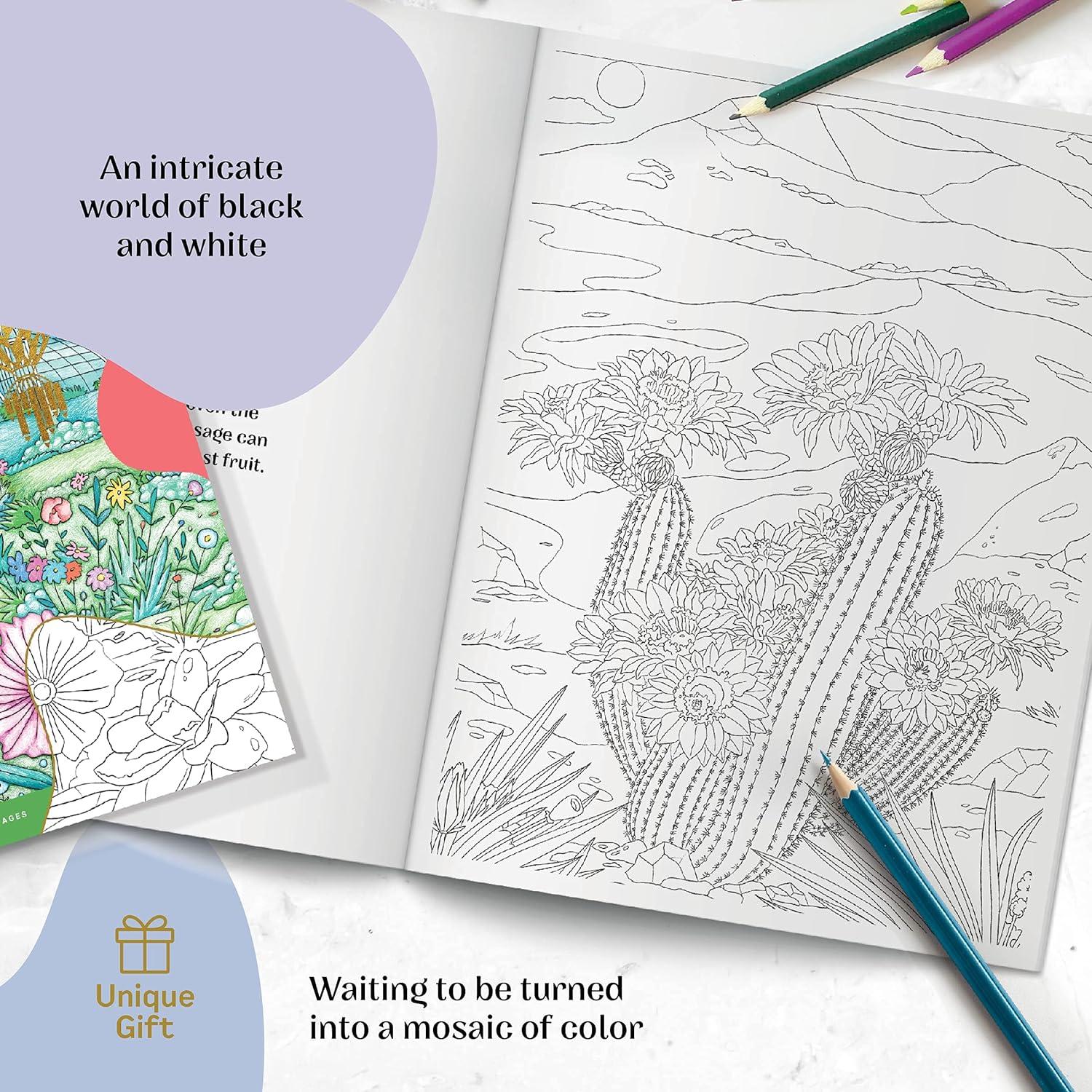 wanderer coloring pages