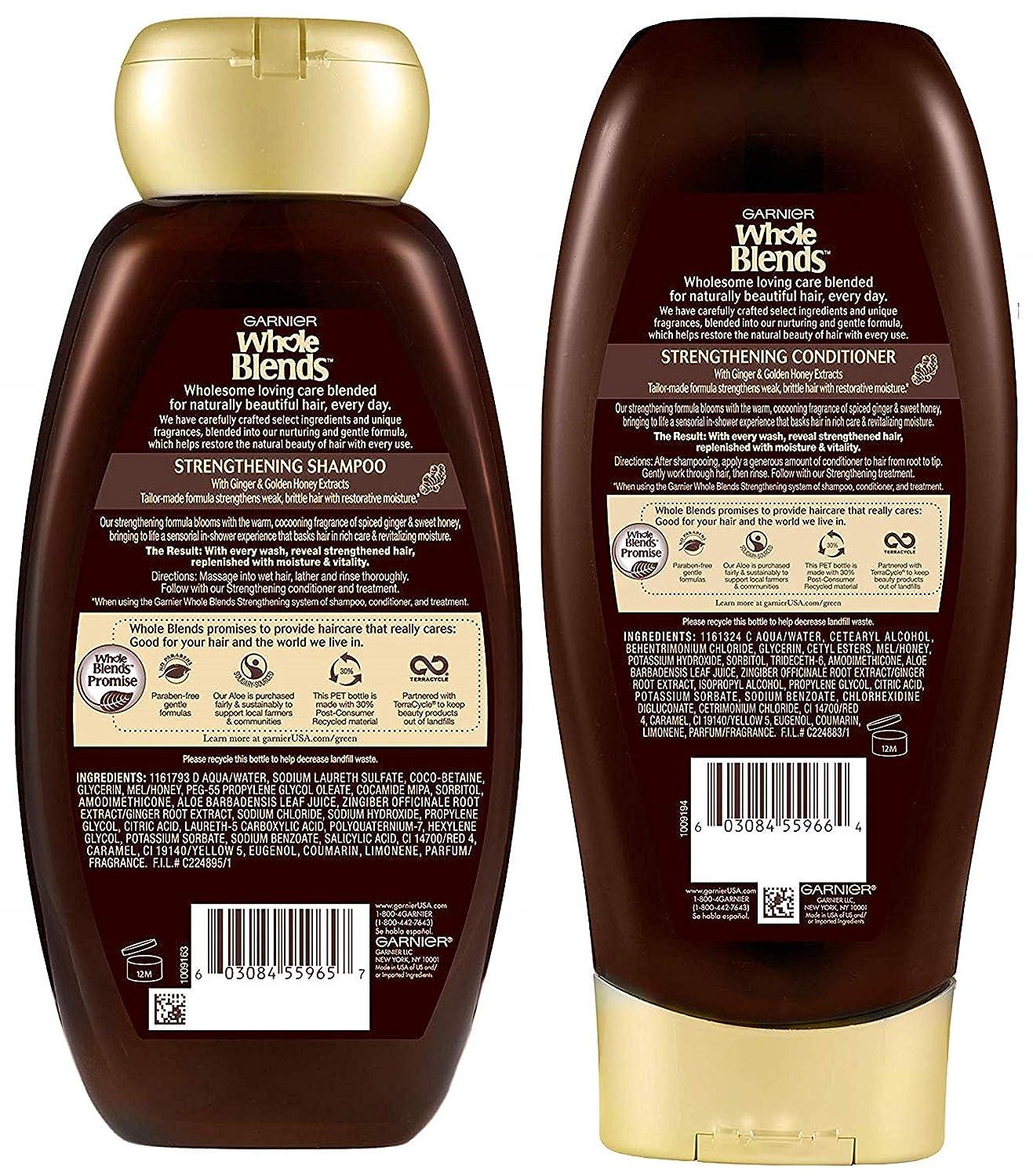 Garnier Whole Blends Haircare - Ginger Recovery Strengthening Shampoo ...