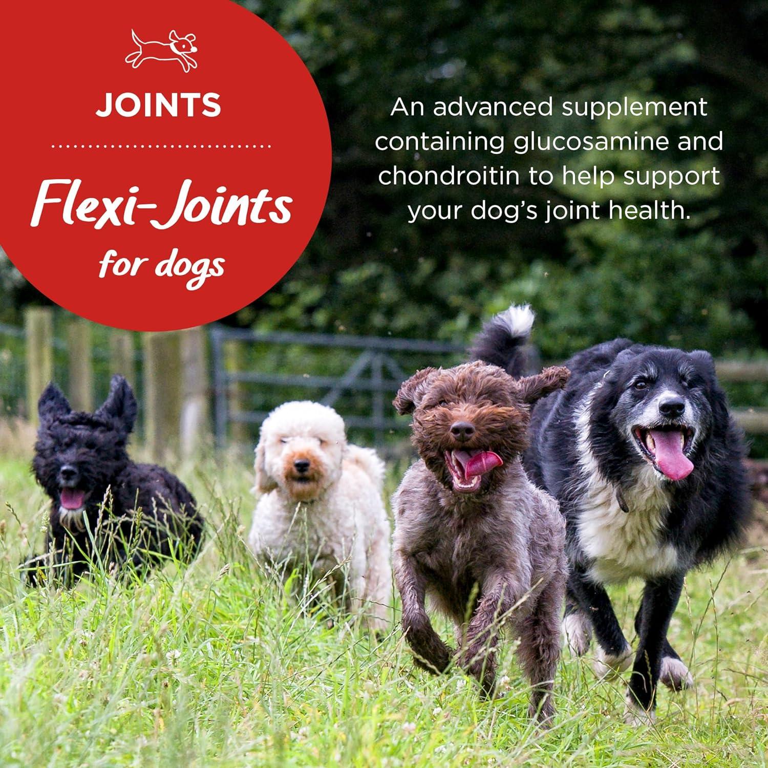 Healthspan Flexi-Joints for Dogs | High Strength Glucosamine ...