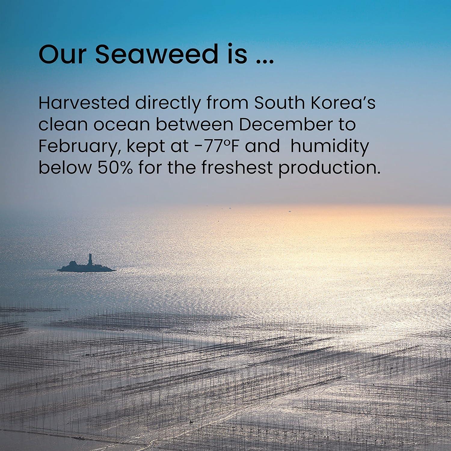 Kimnori Kwangcheon Kim Gimbugak Baked Seaweed Snacks - Wasabi Flavor ...